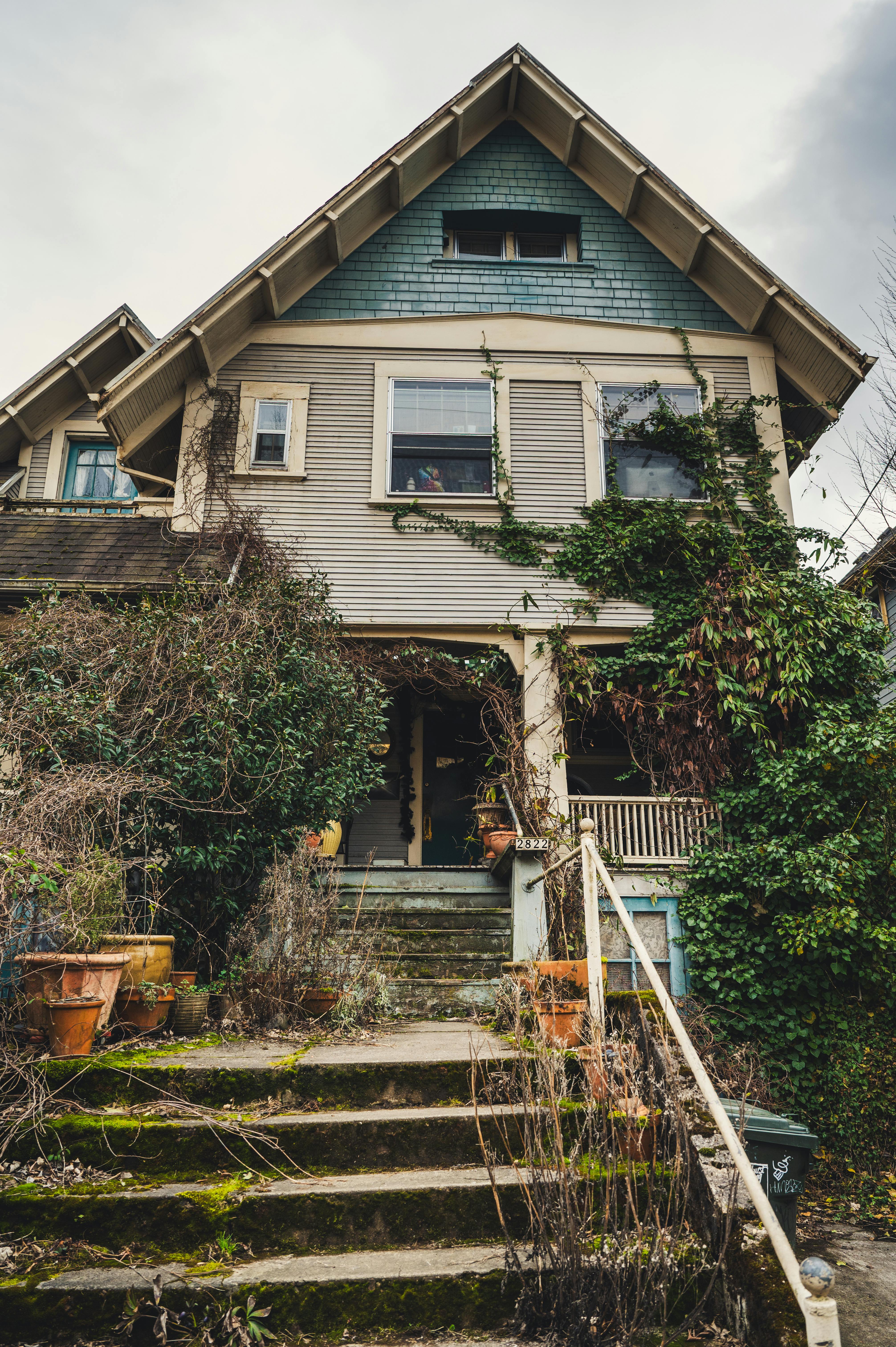 Foto de stock gratuita sobre al aire libre, américa del norte ...