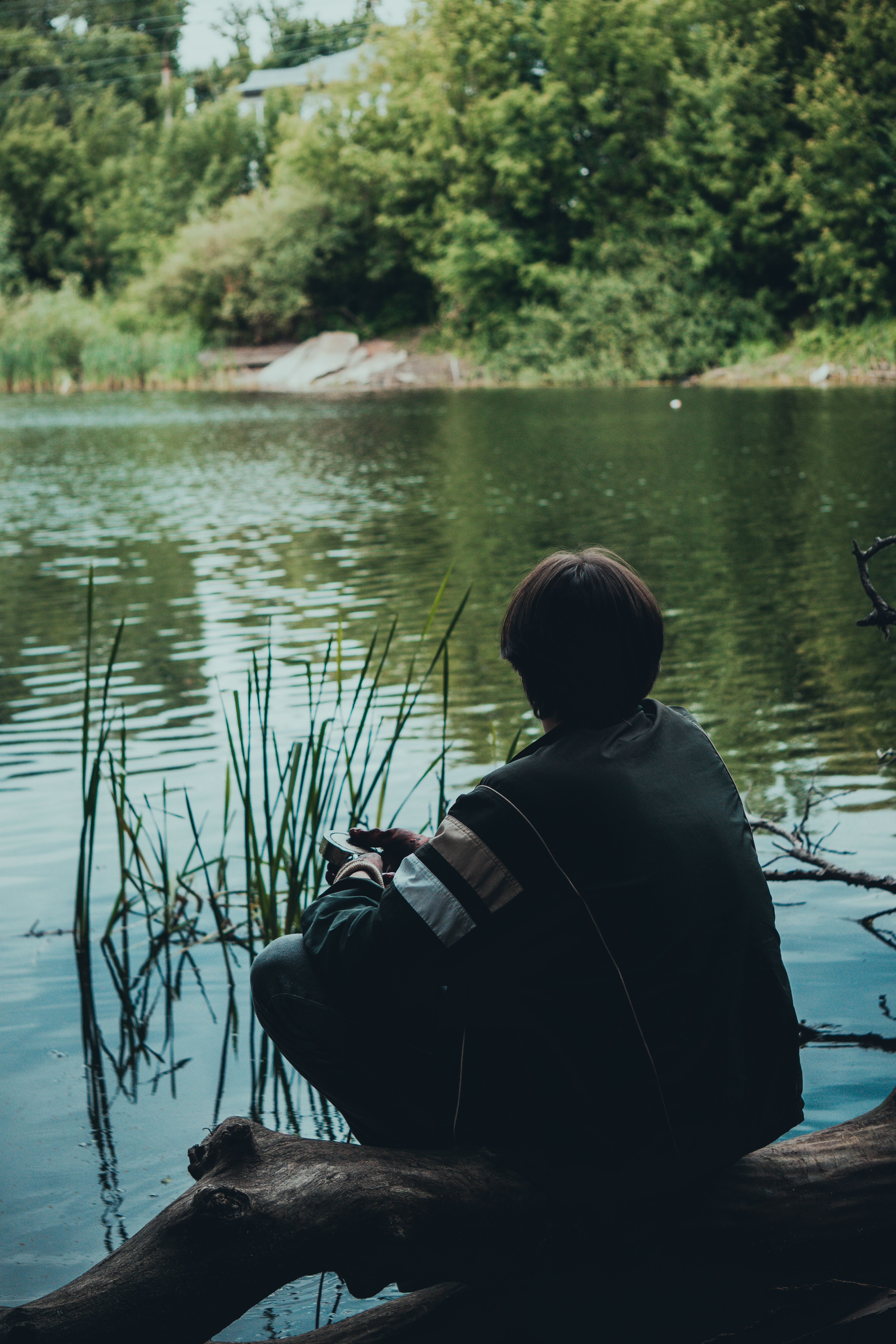 Person Sitting on Tree Trunk near Water · Free Stock Photo