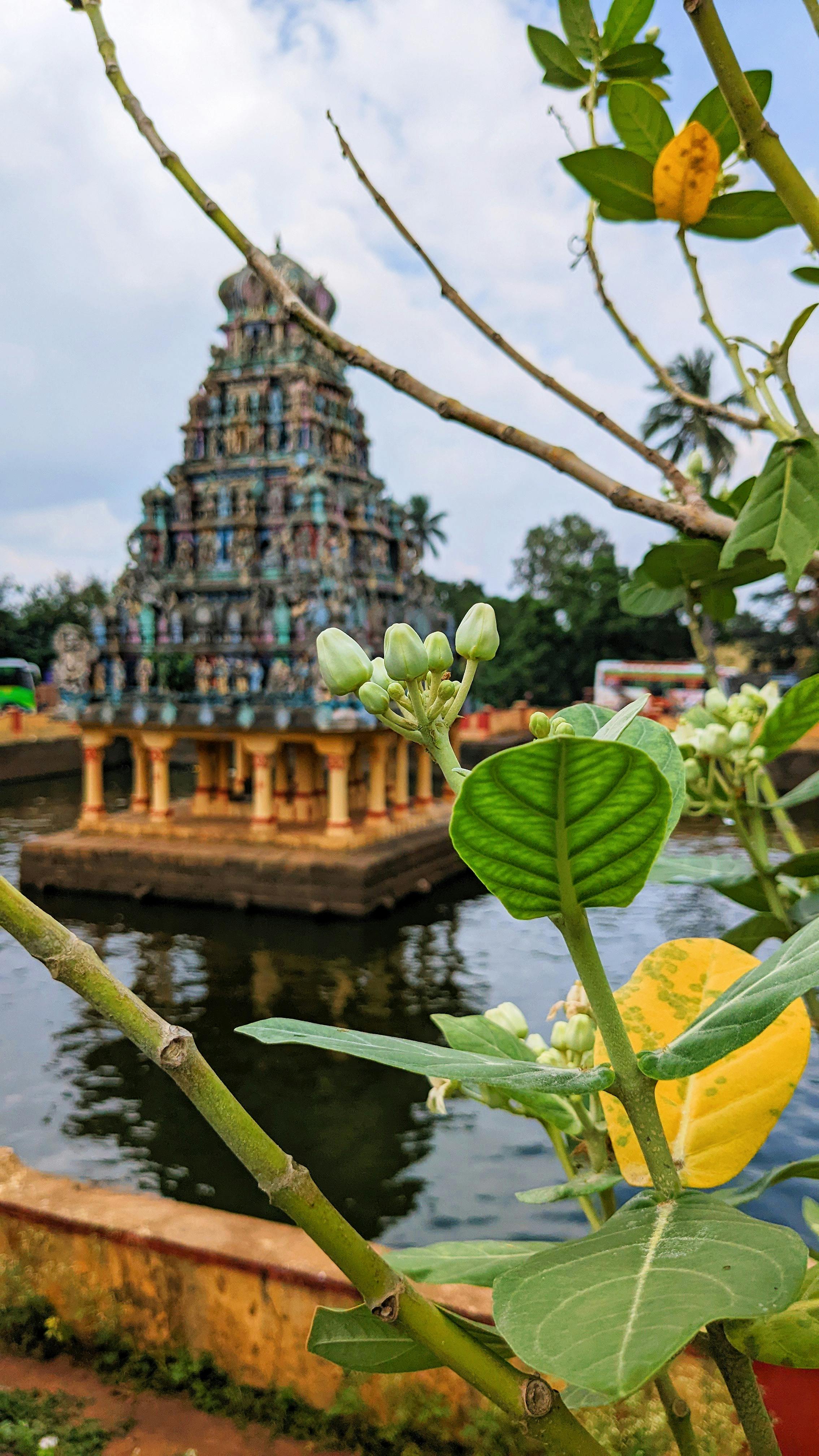 santhosh krishnan - 写真