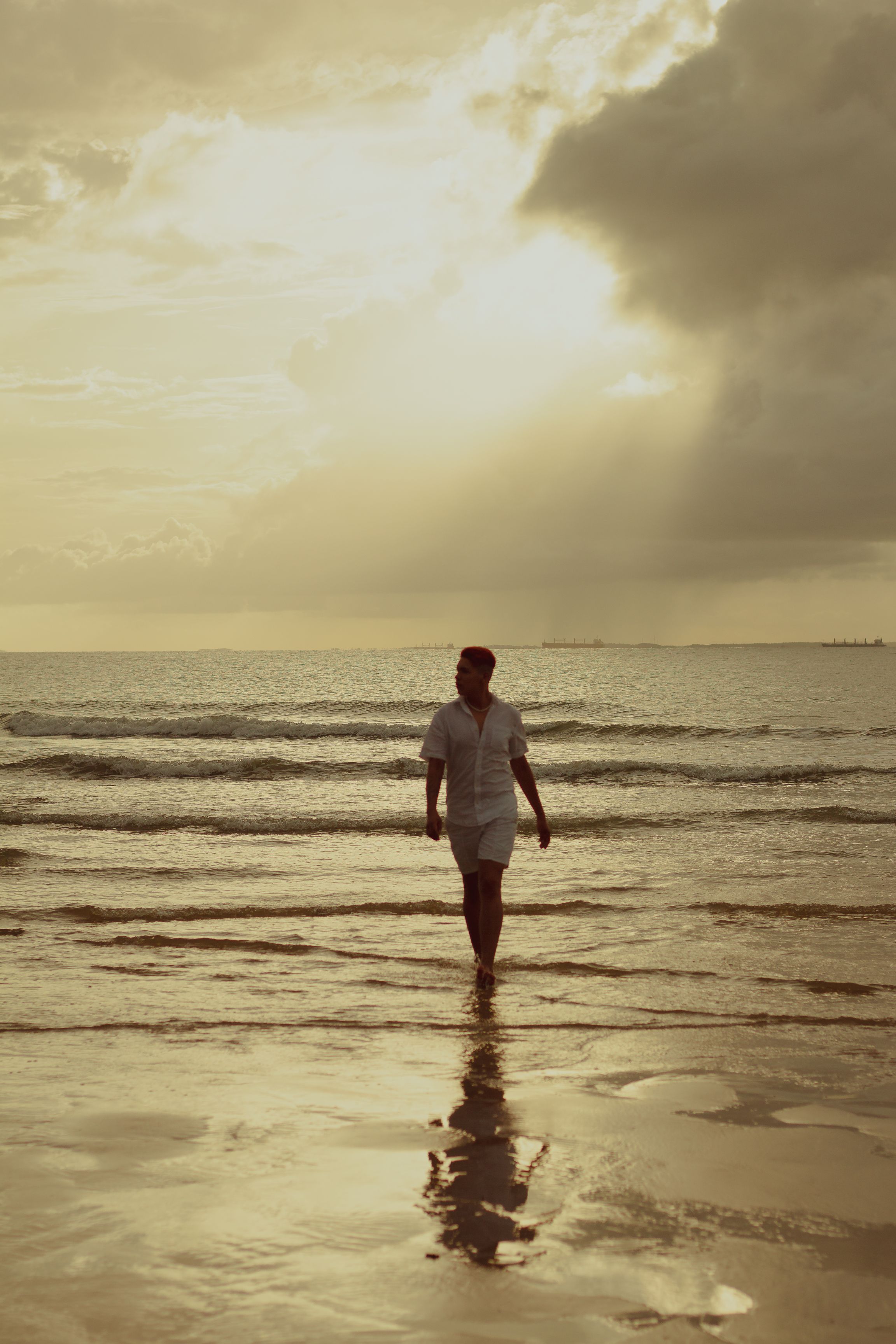Person Walking on Sea Shore at Sunset · Free Stock Photo