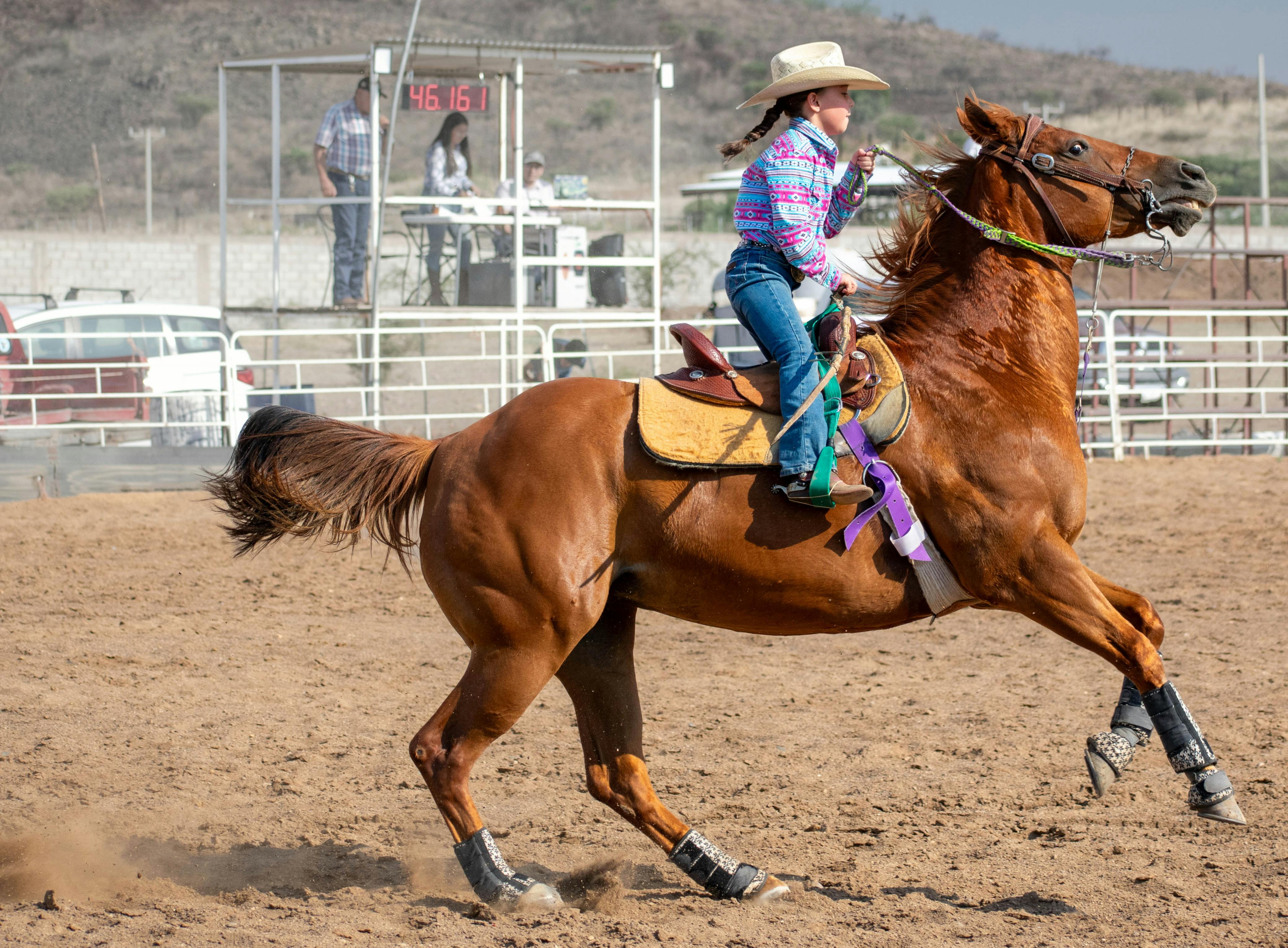 Girl Riding on Horse · Free Stock Photo