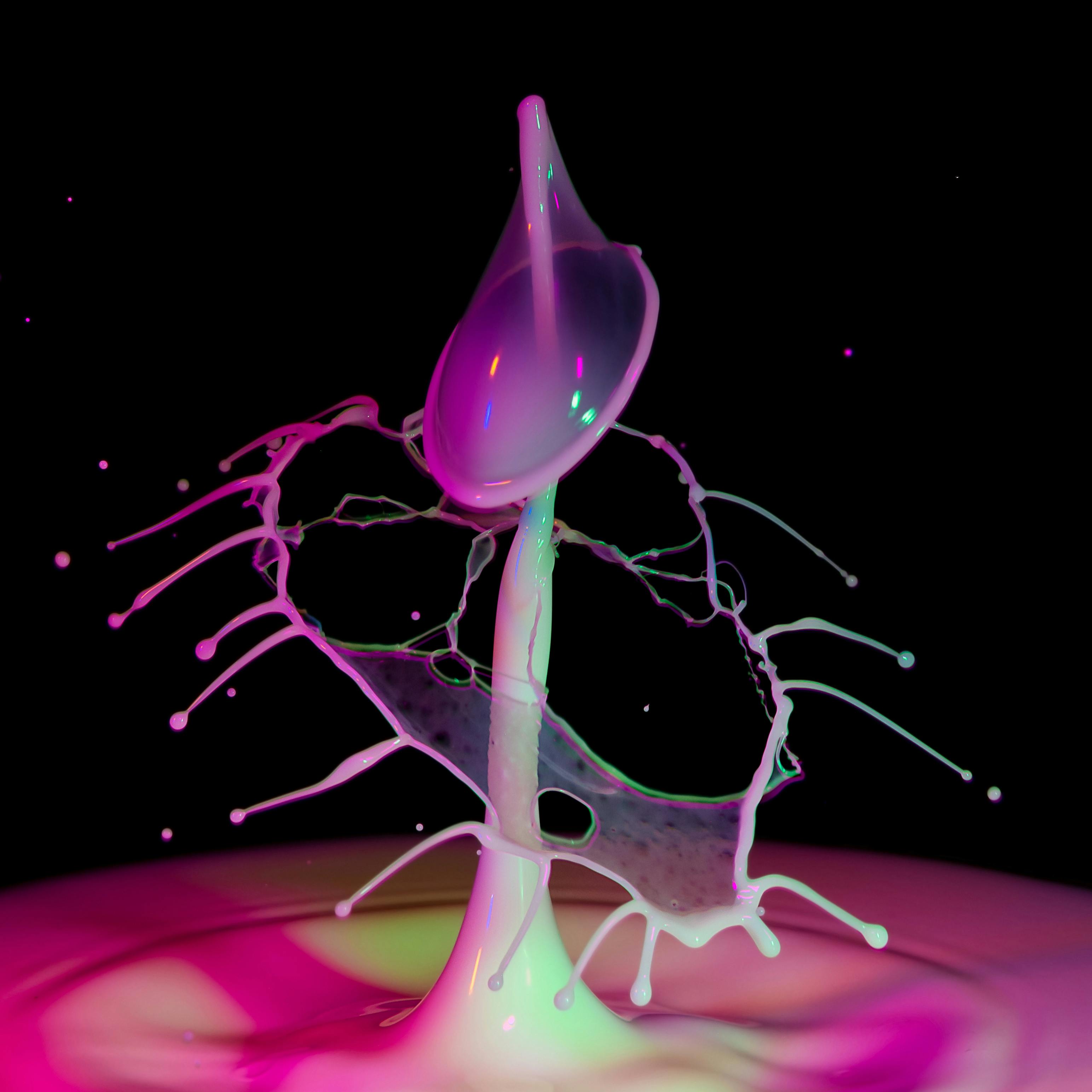 Neon Fluid in a Studio · Free Stock Photo