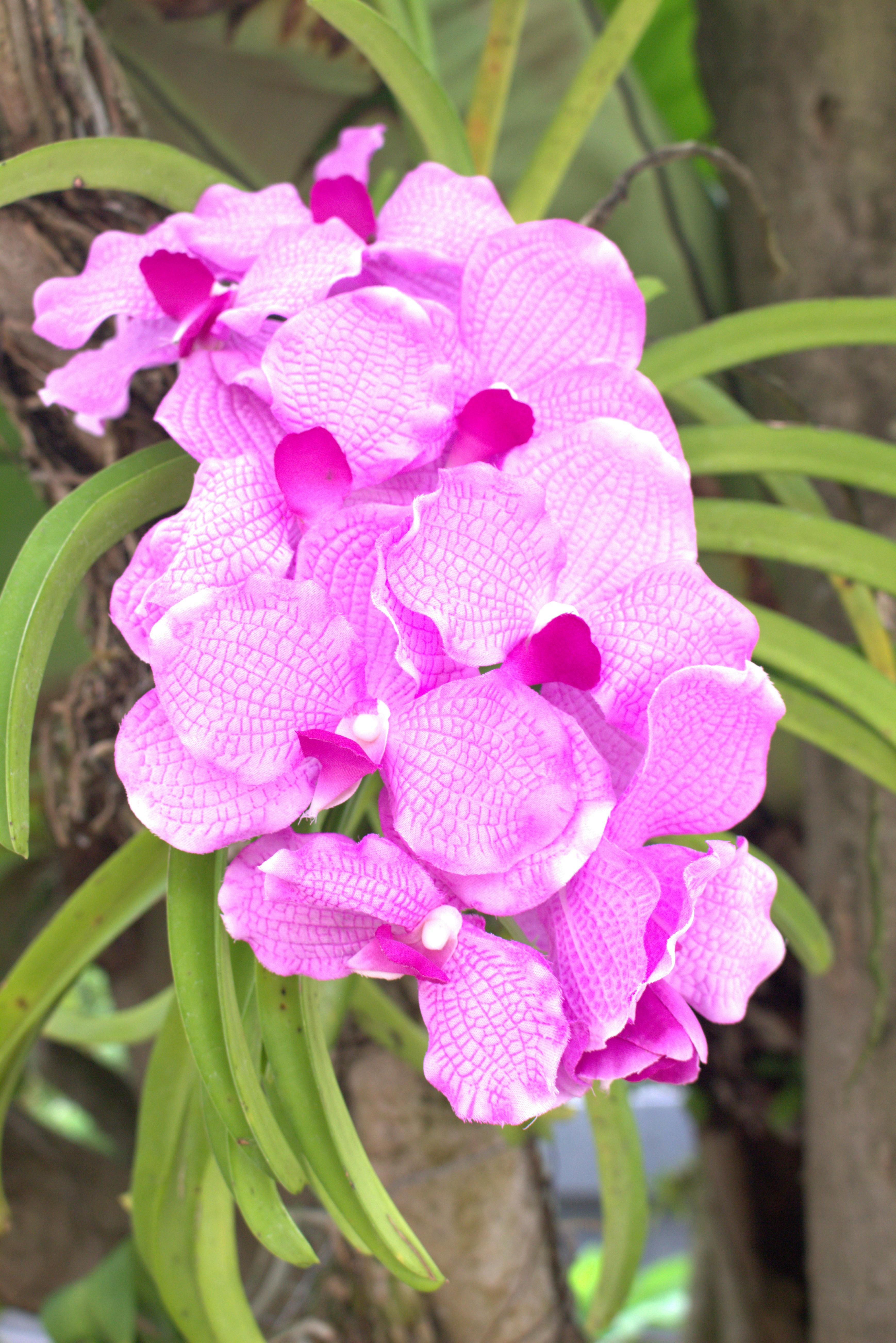 Allen Webb - Photographie