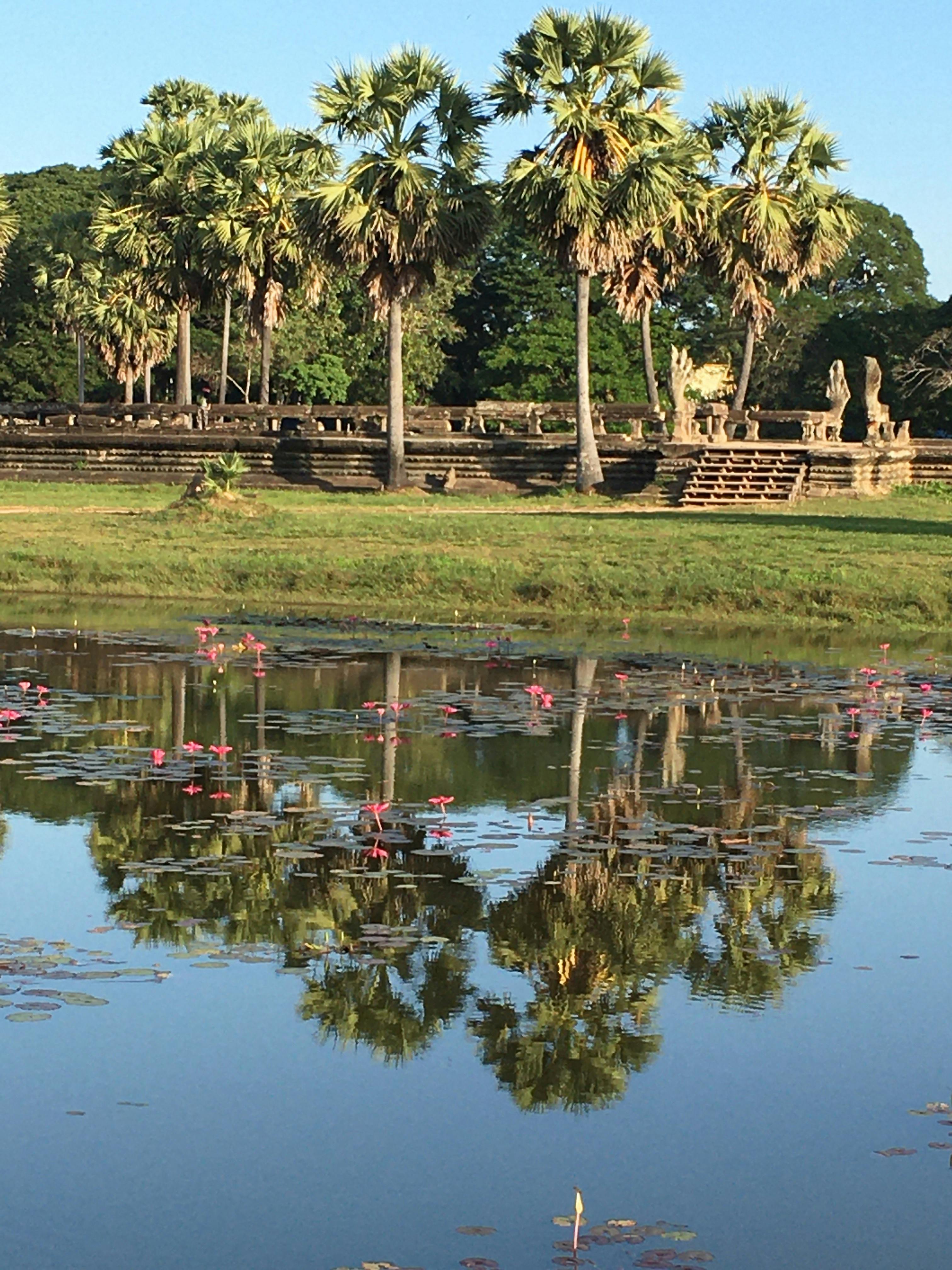 Allen Webb - Photographie