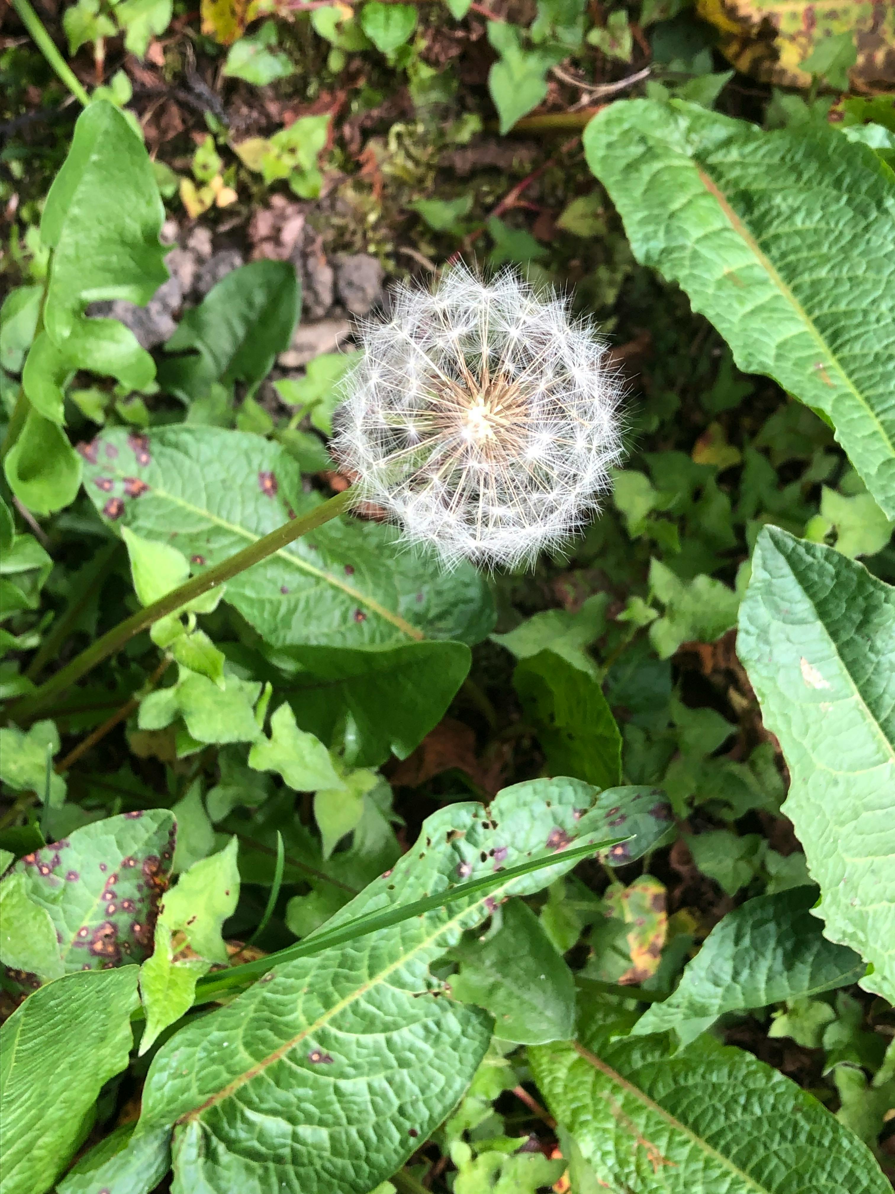 Catherine Huang - 写真