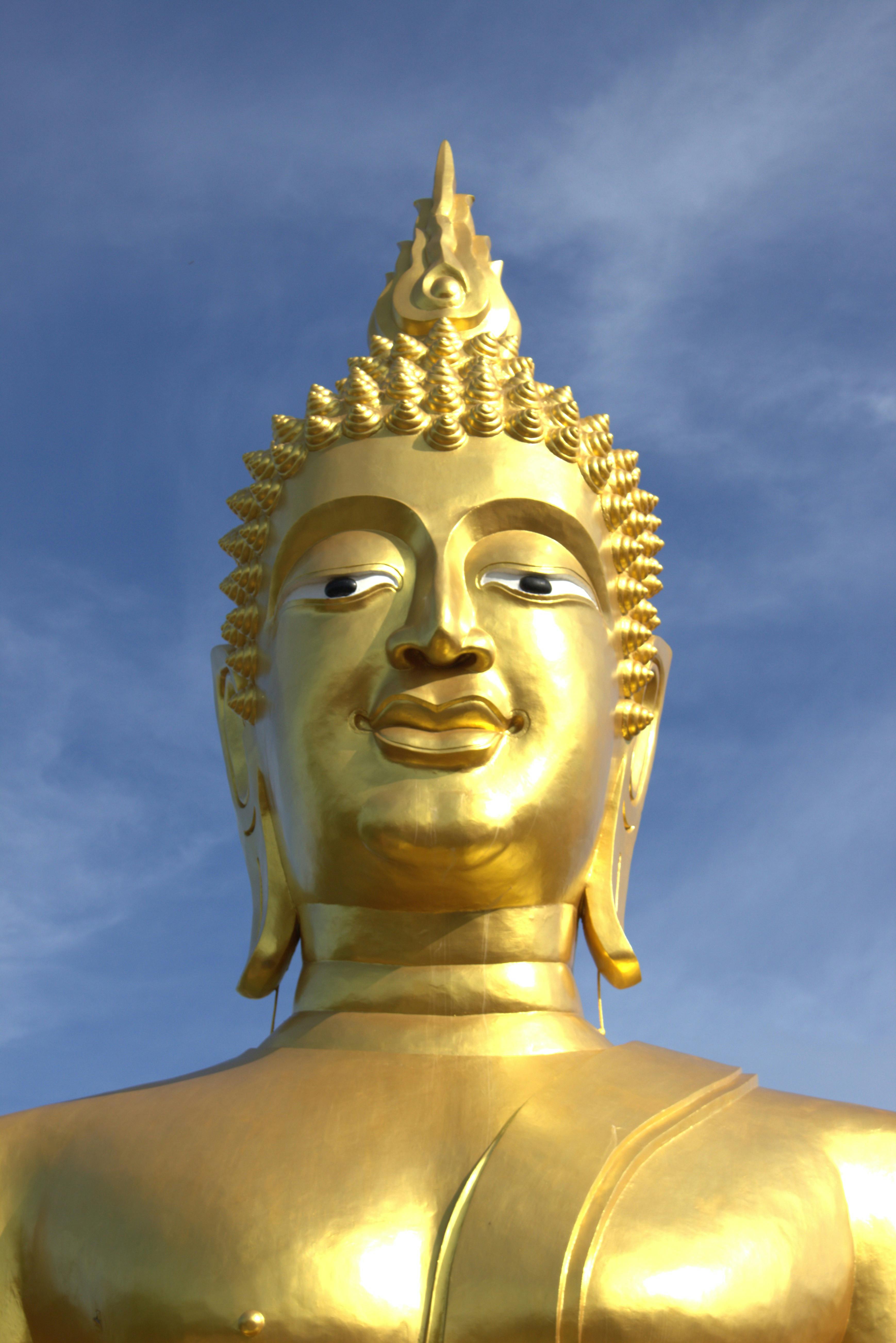 Allen Webb - Photographie