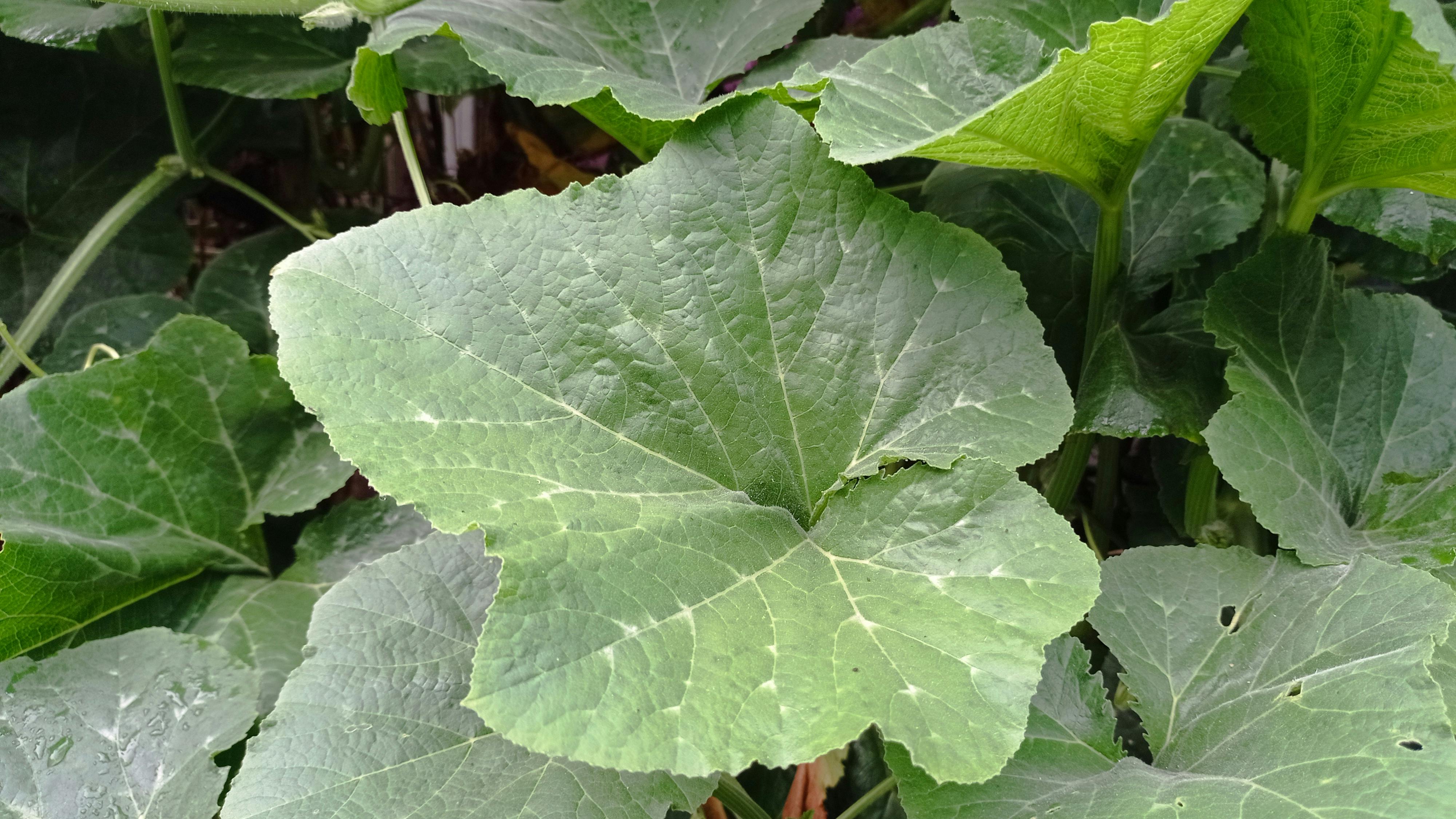 Anton Tezar - 摄影