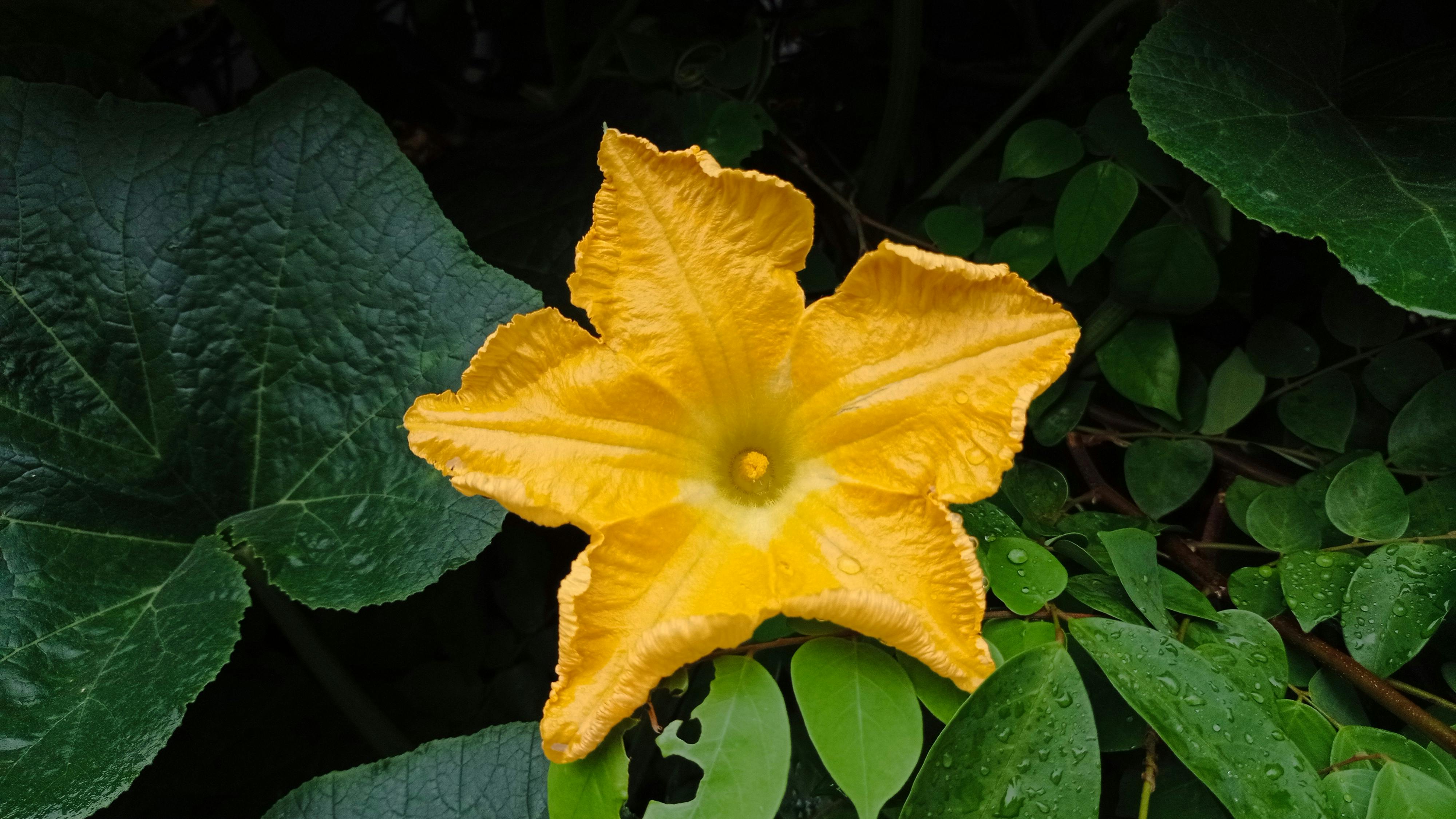 Anton Tezar - Fotografía