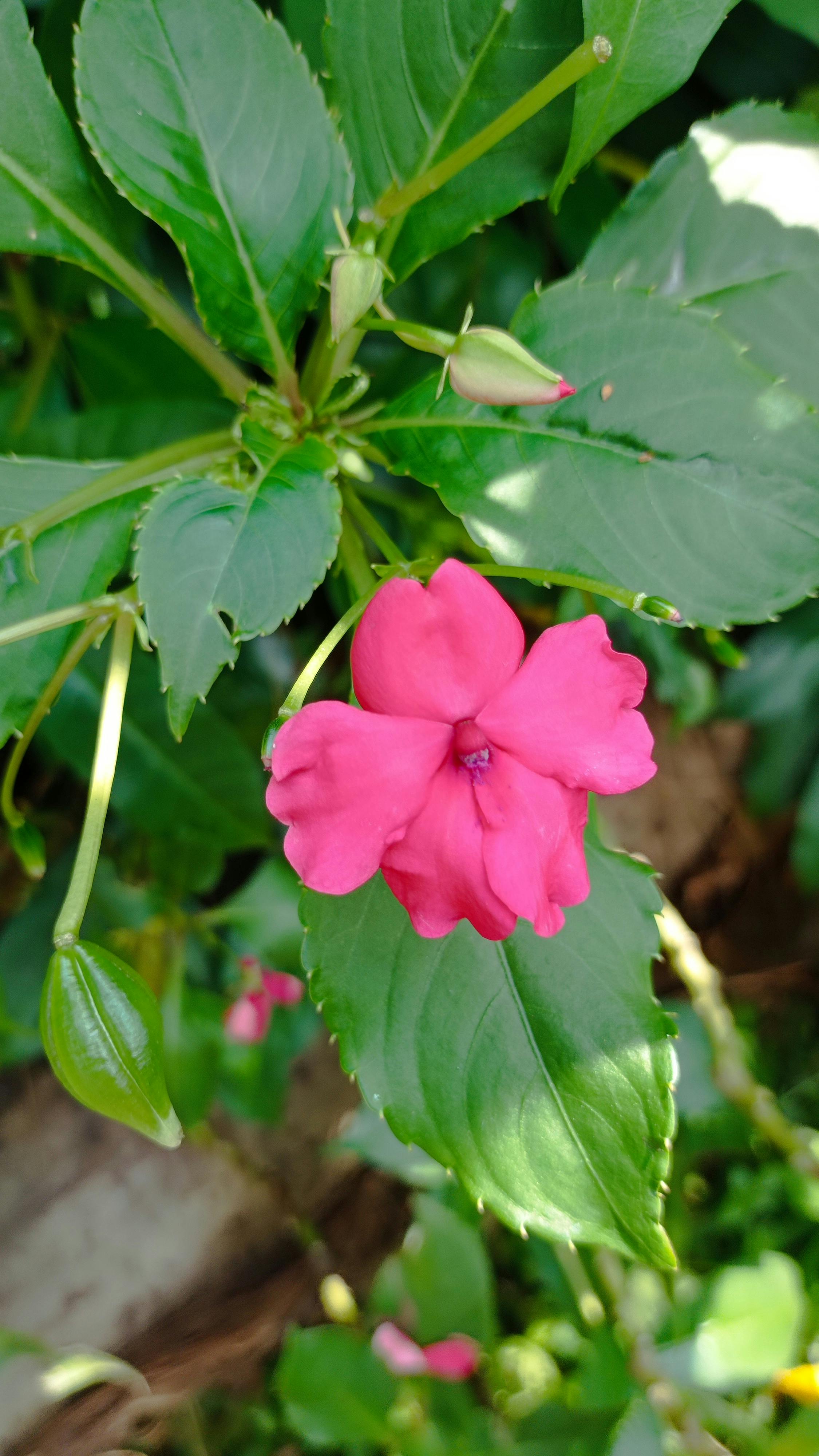 Anton Tezar - Fotografía