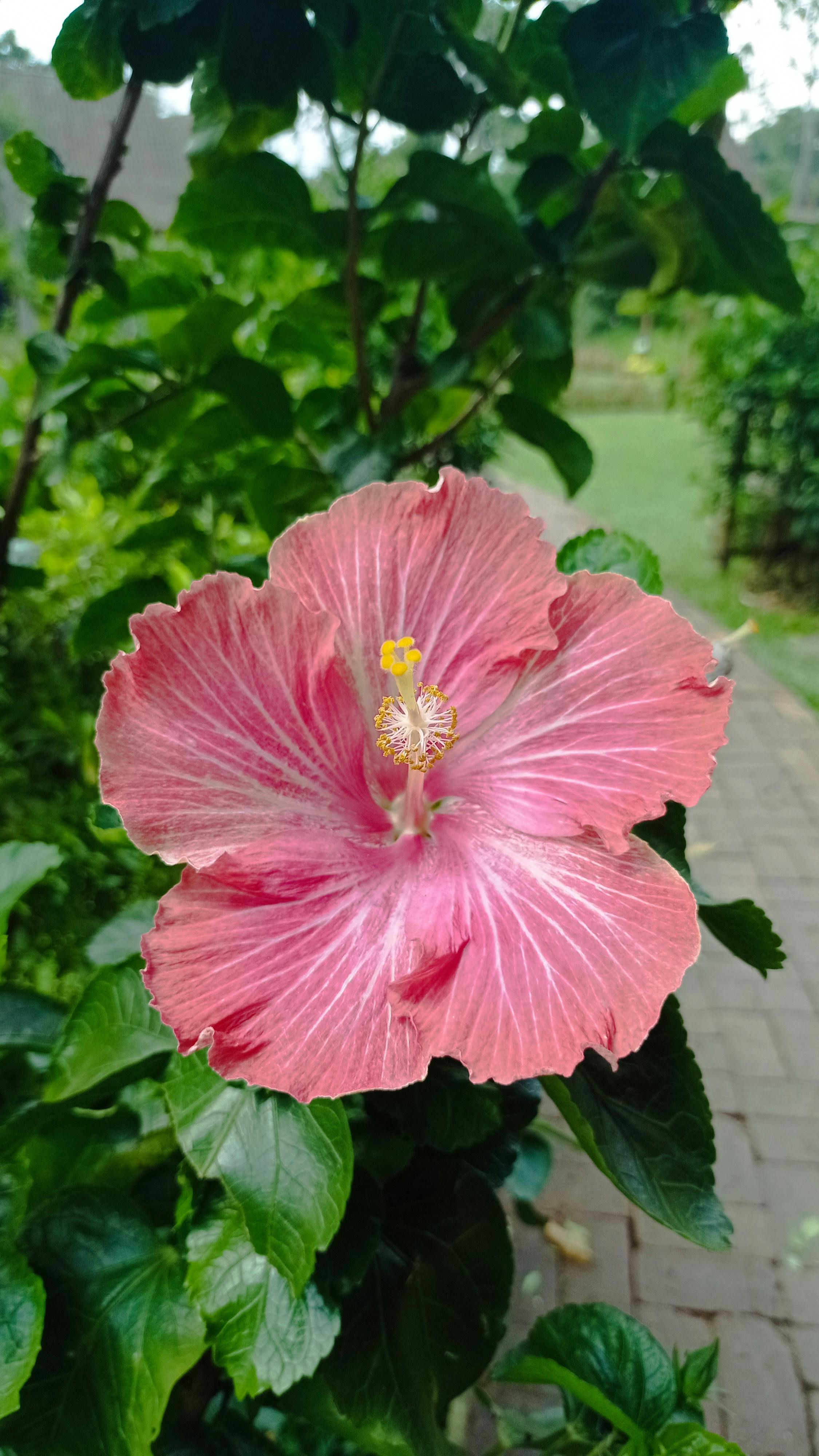 Anton Tezar - Fotografía