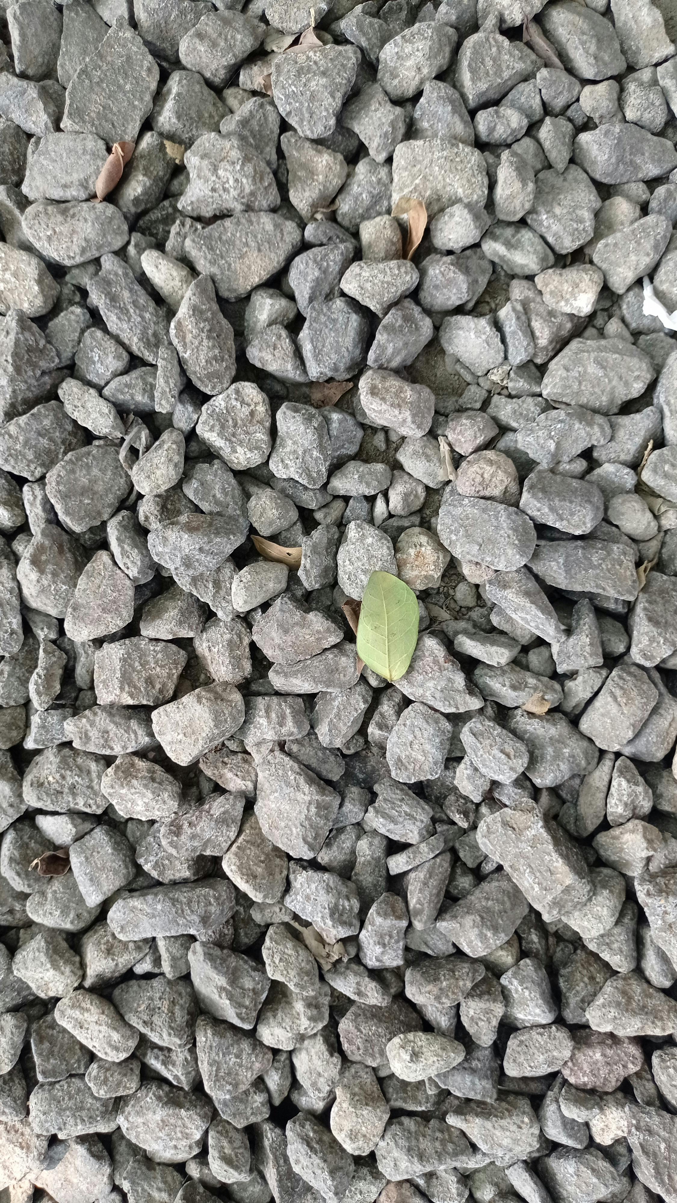 Anton Tezar - Fotografía