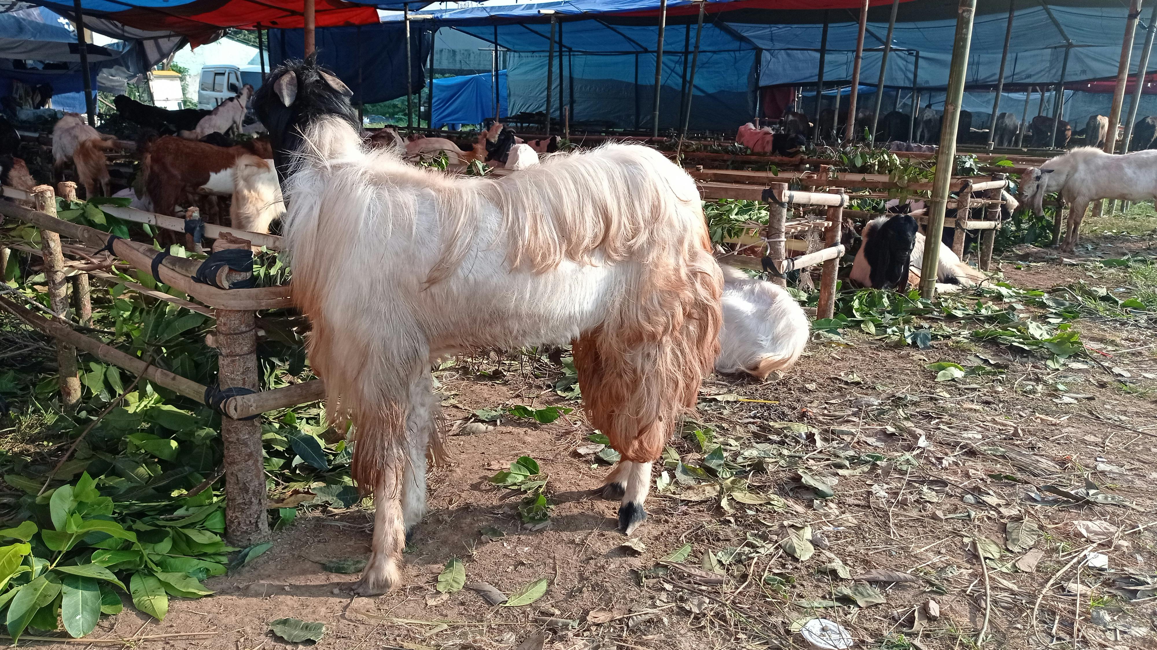 Anton Tezar - Fotografía