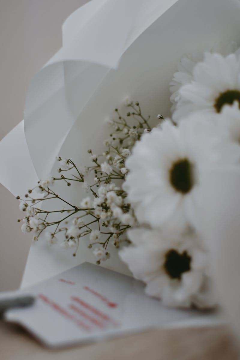 Hannah Palmer Aaron Lilly Wedding Photos, Download The BEST Free Hannah ...