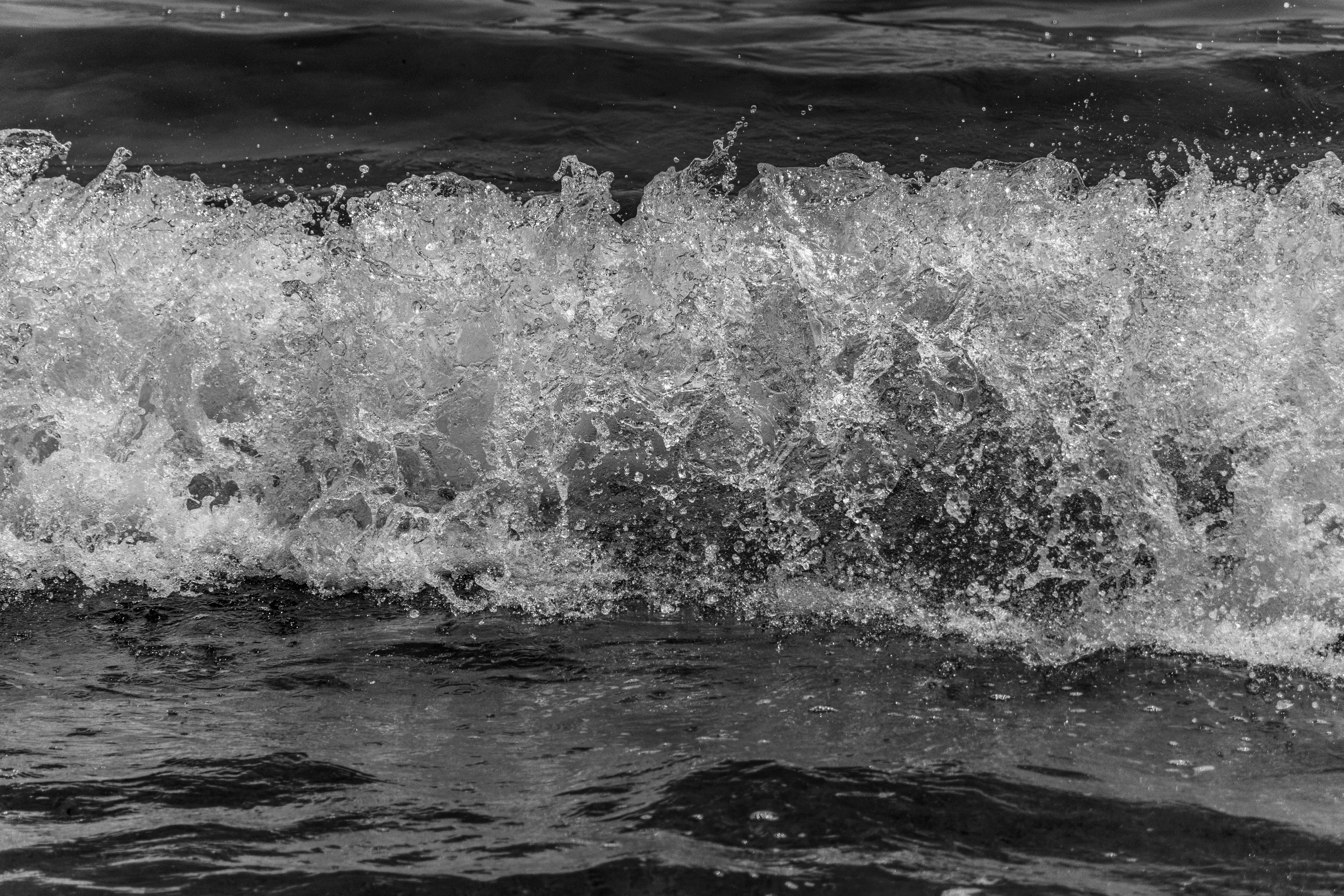 Splashing Water in Black and White · Free Stock Photo