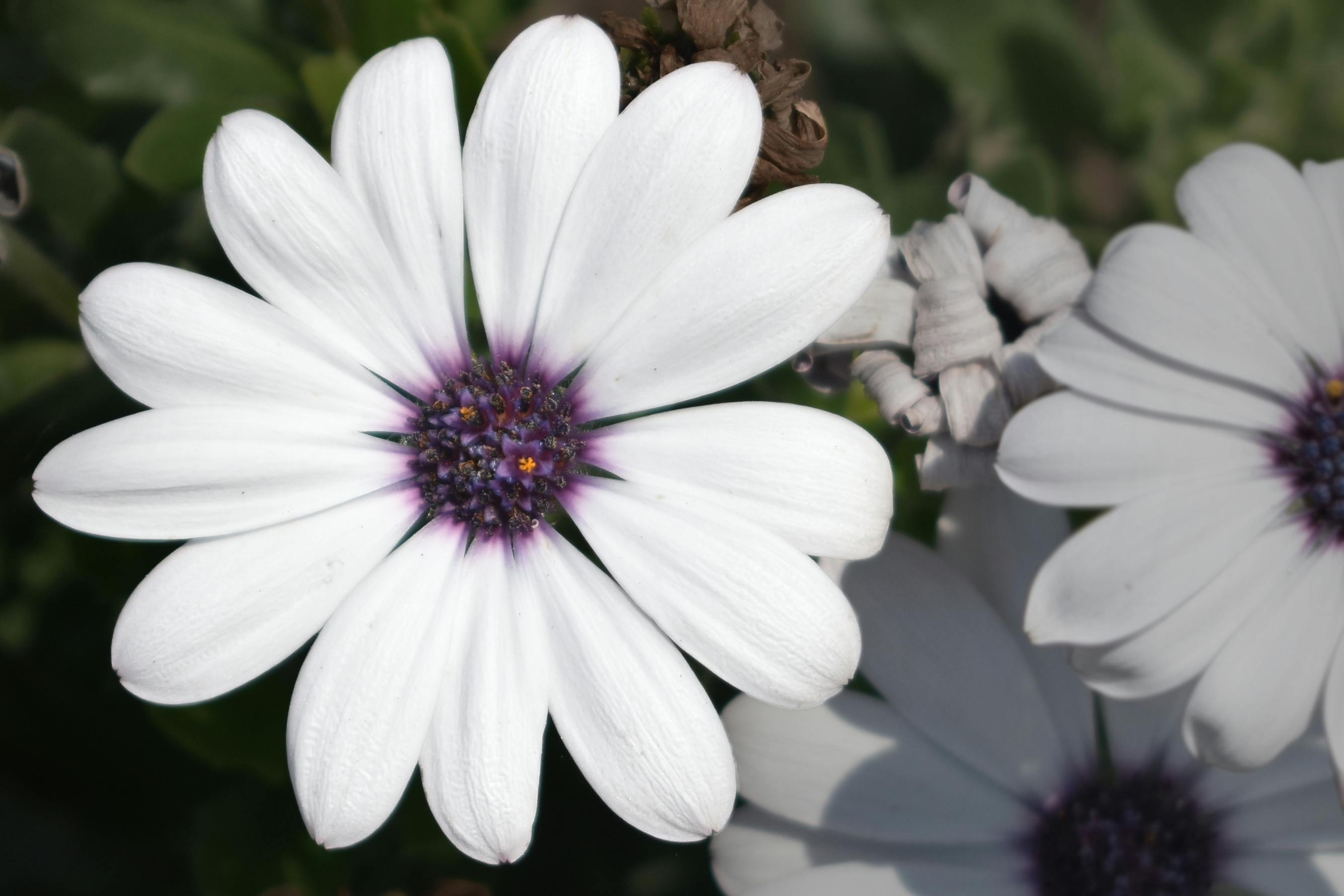 Physical Pixel - Photography