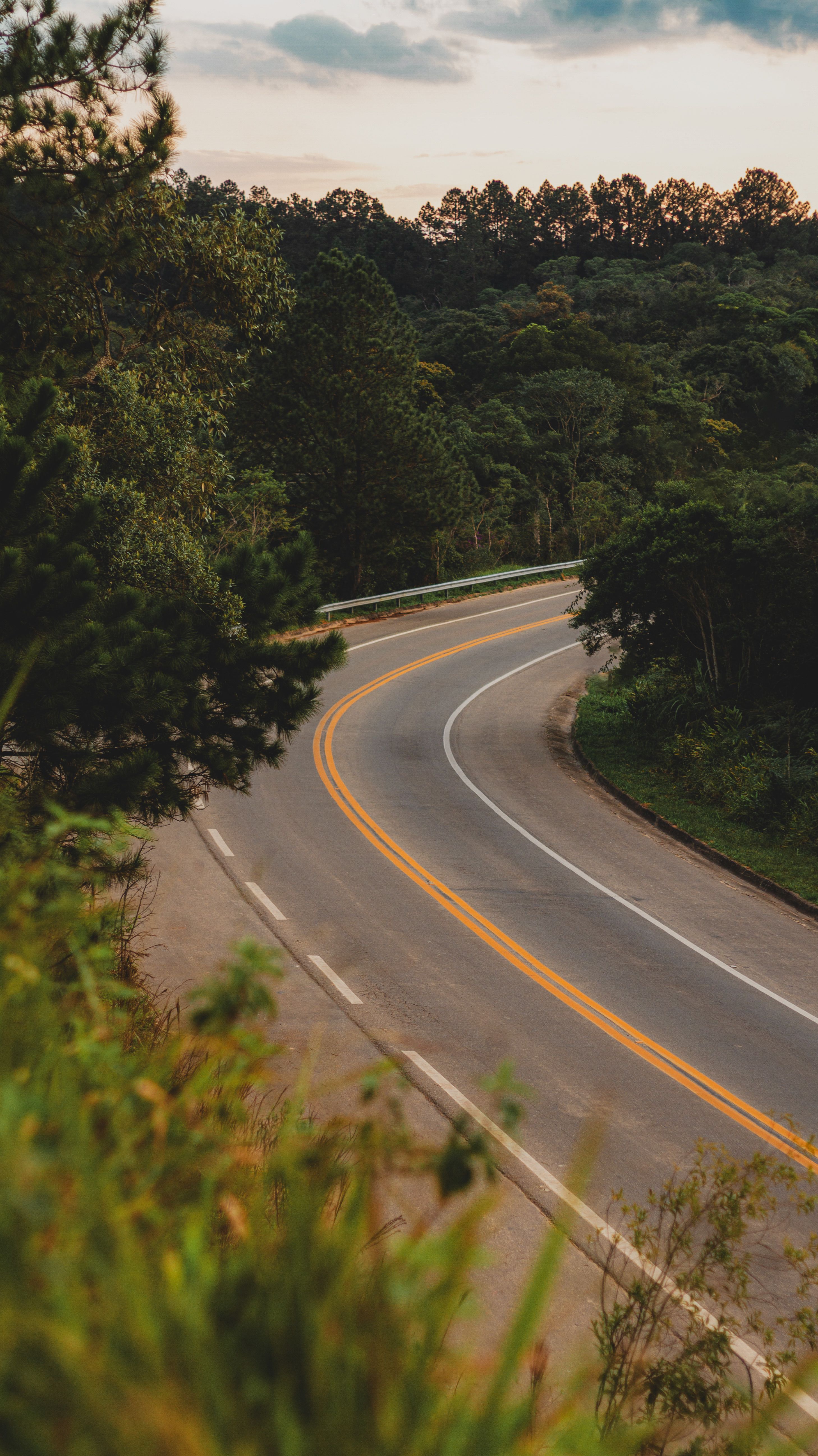 High Angle Shot of an Asphalt Road between Trees · Free Stock Photo