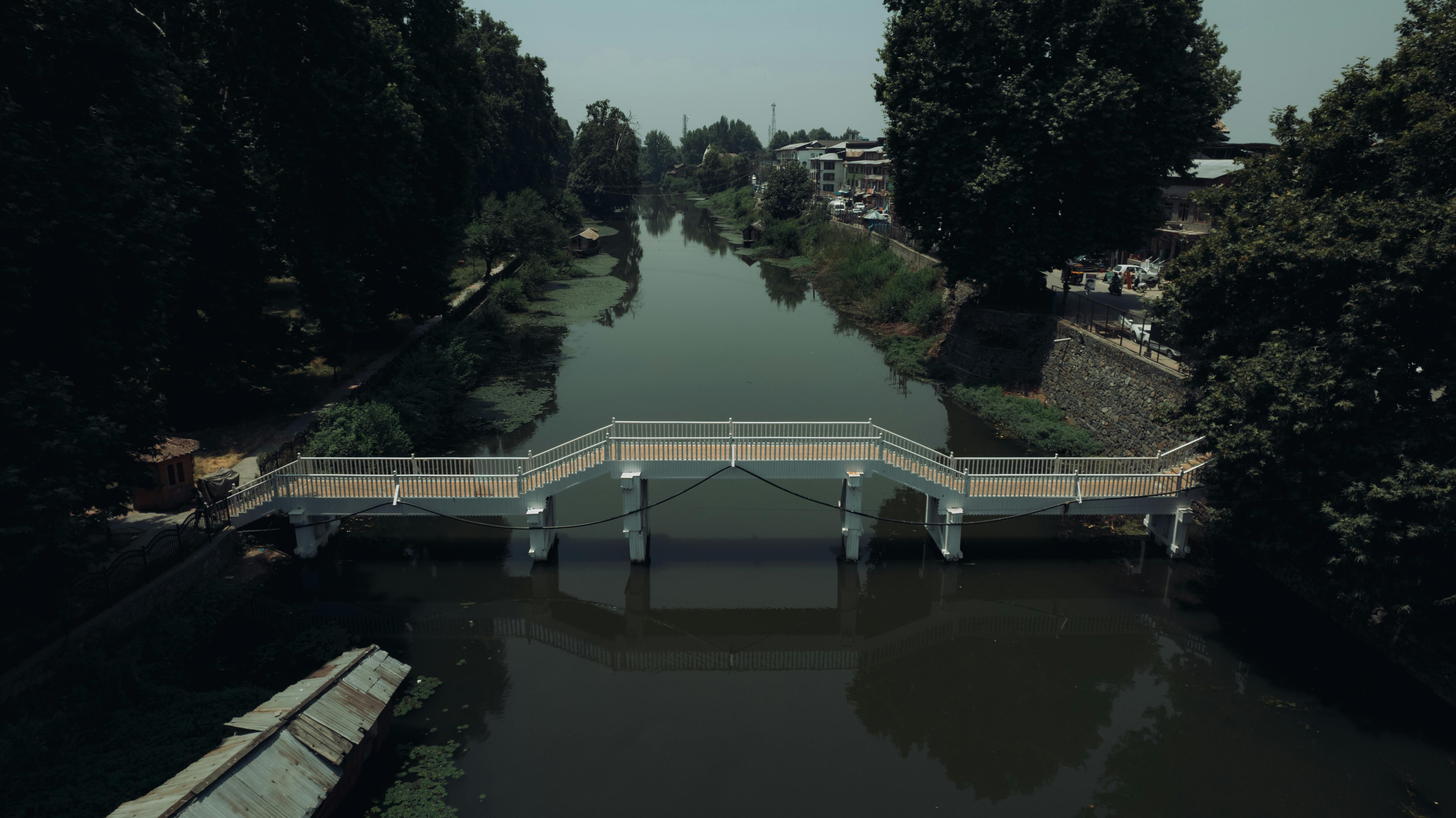 Footbridge over Wild River · Free Stock Photo