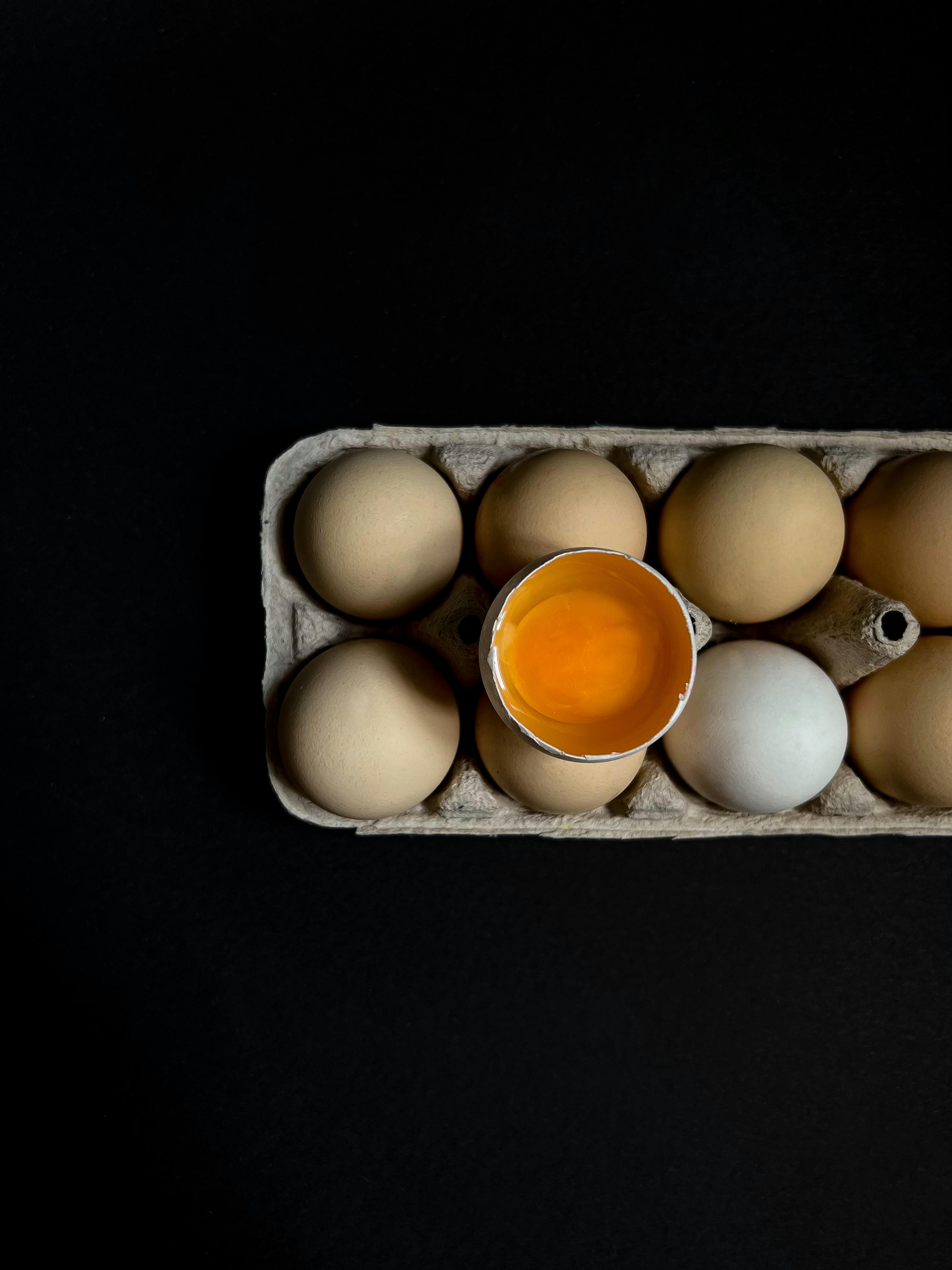 Close-Up Photo Of Eggs · Free Stock Photo