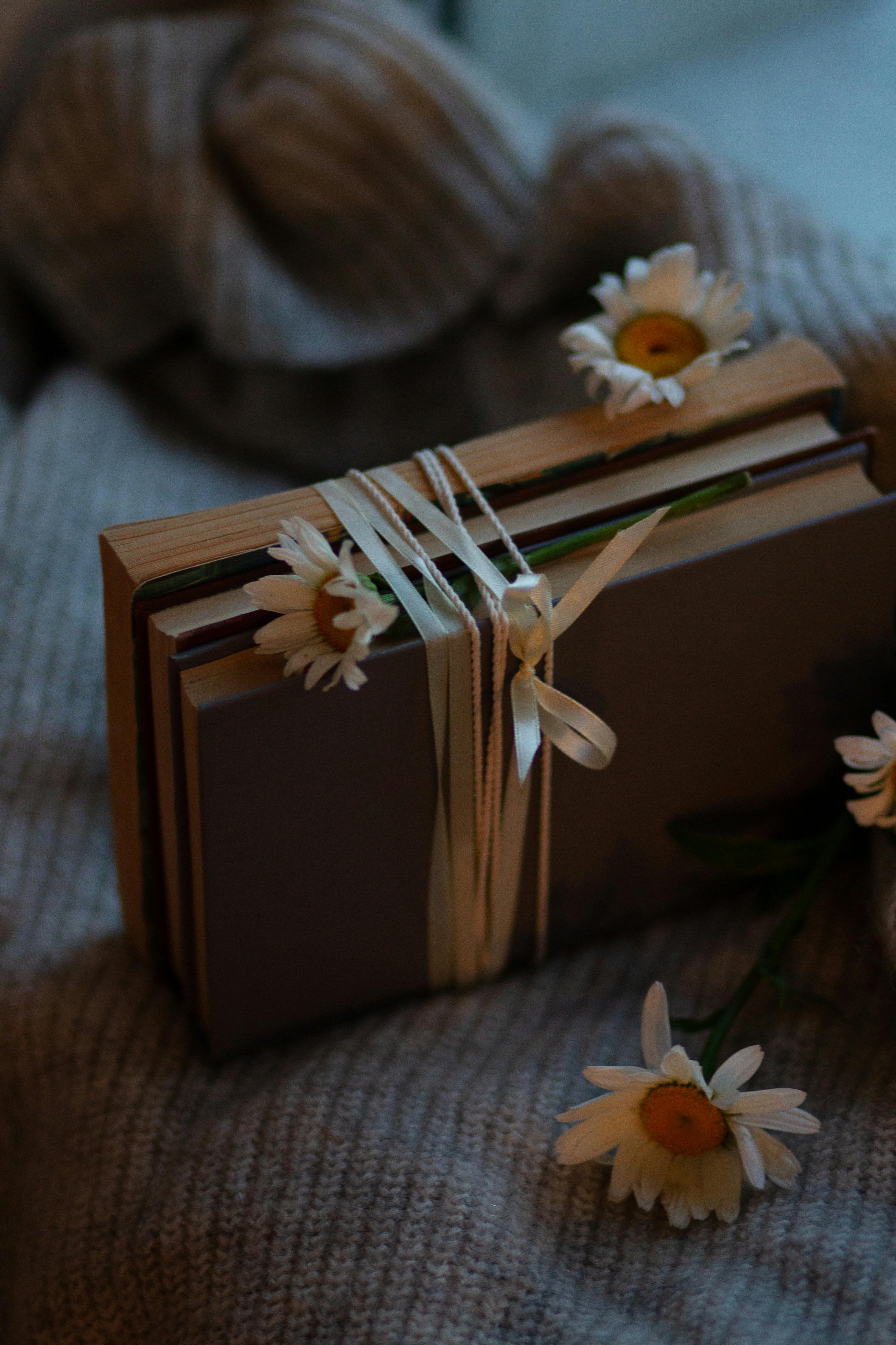 Daisies around Books · Free Stock Photo