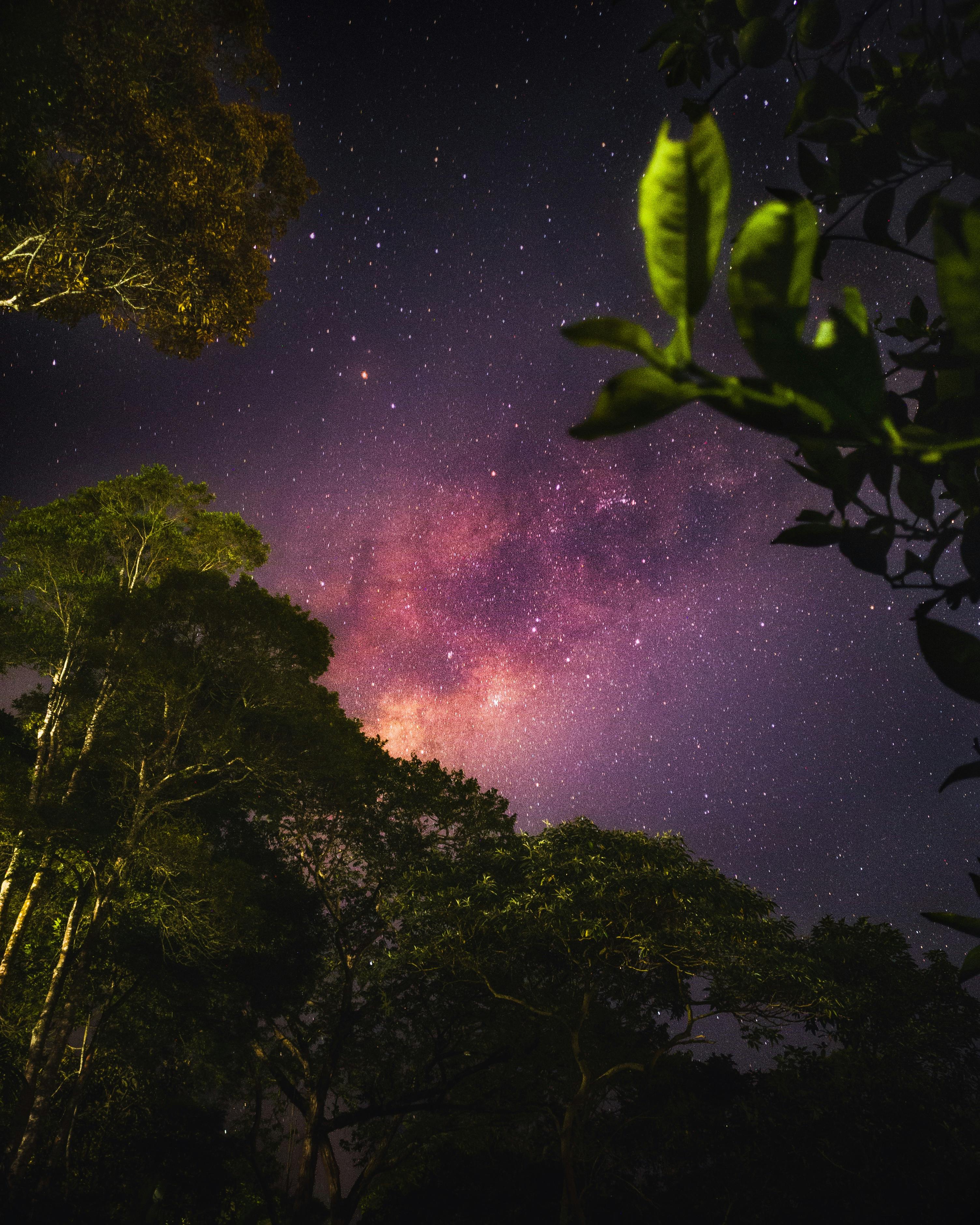 Stars on Clear, Night Sky · Free Stock Photo