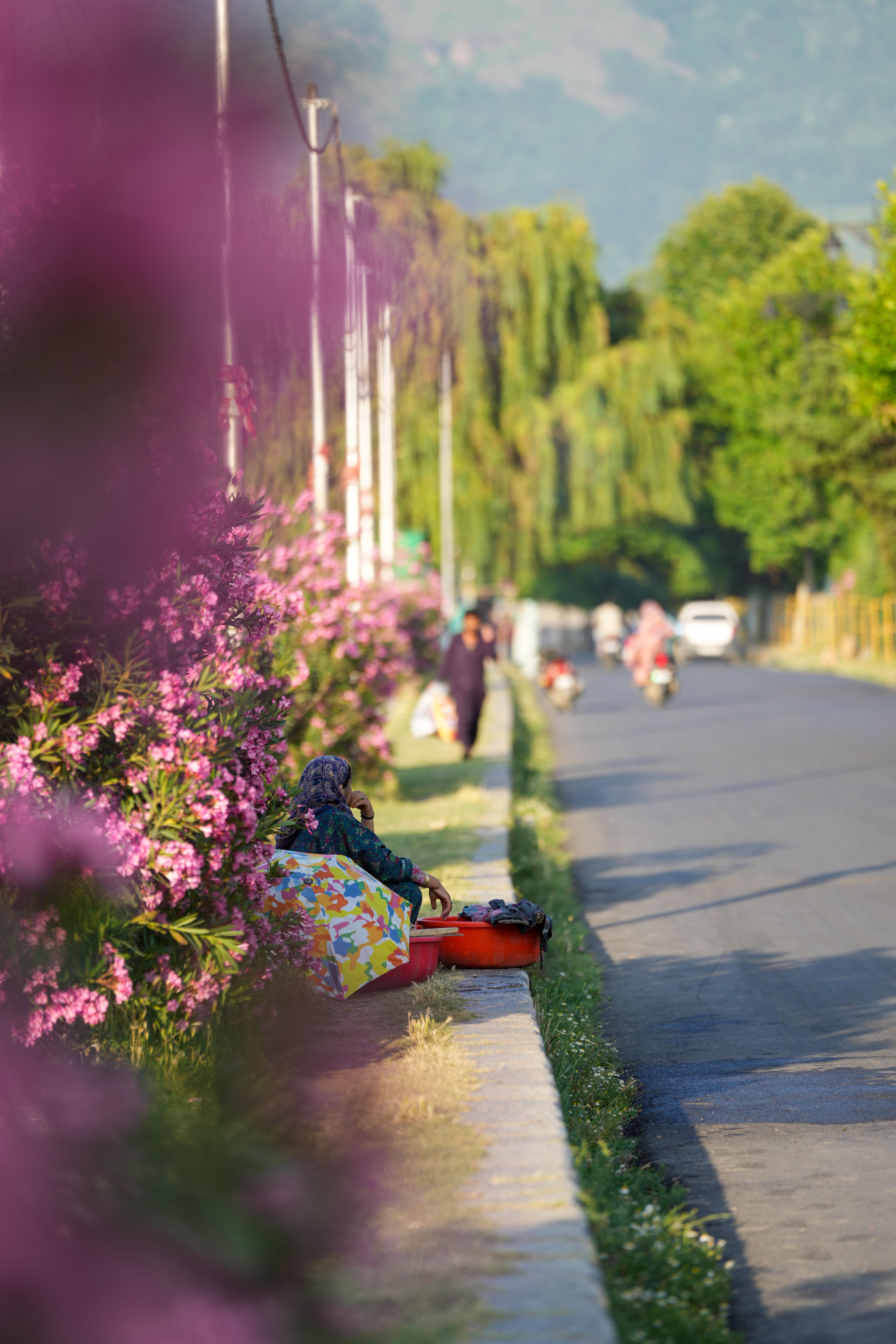 Kashmir Srinagar Nishat Garden Photos, Download The BEST Free Kashmir ...