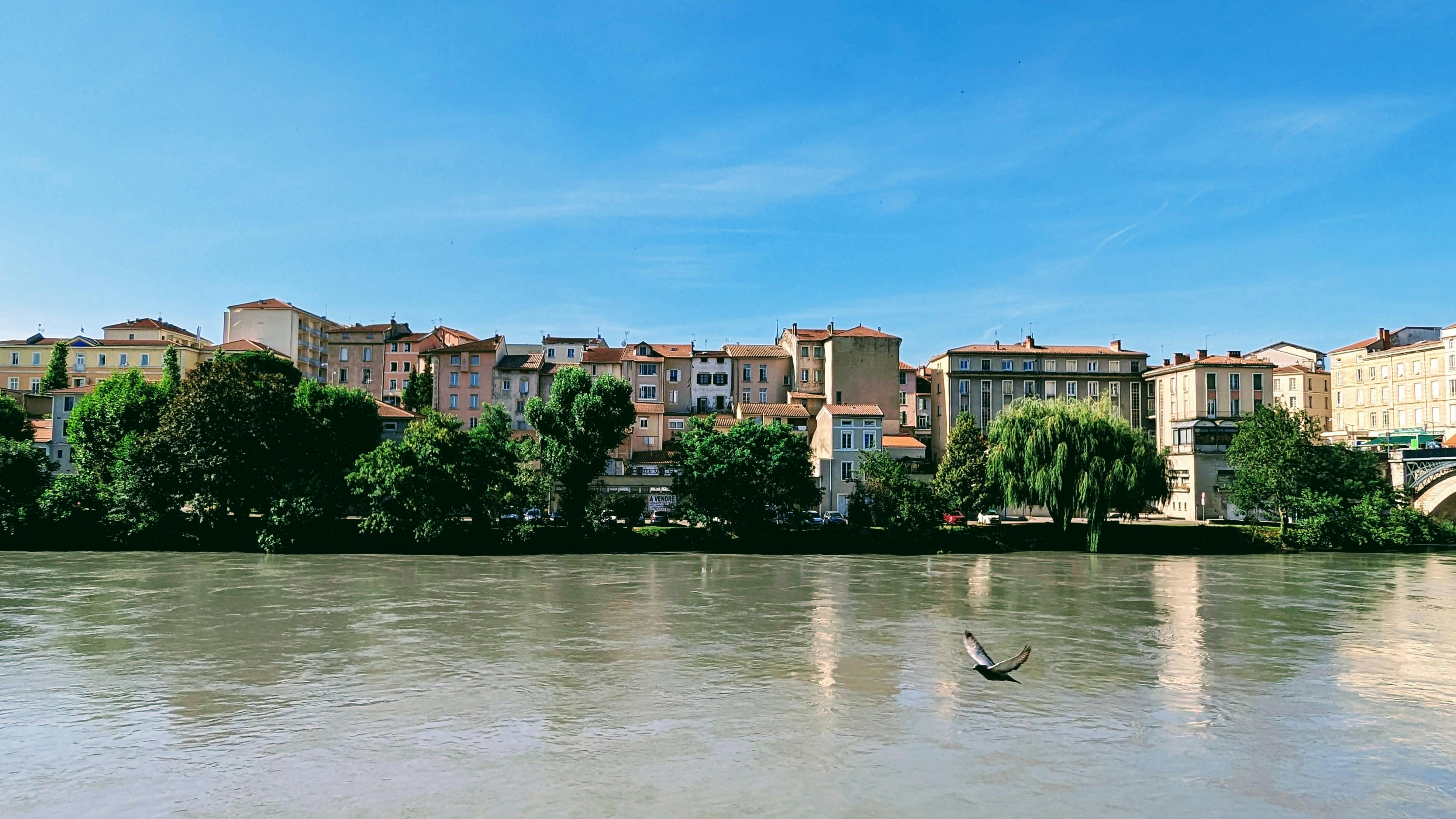 Stéphane Benoit - 사진