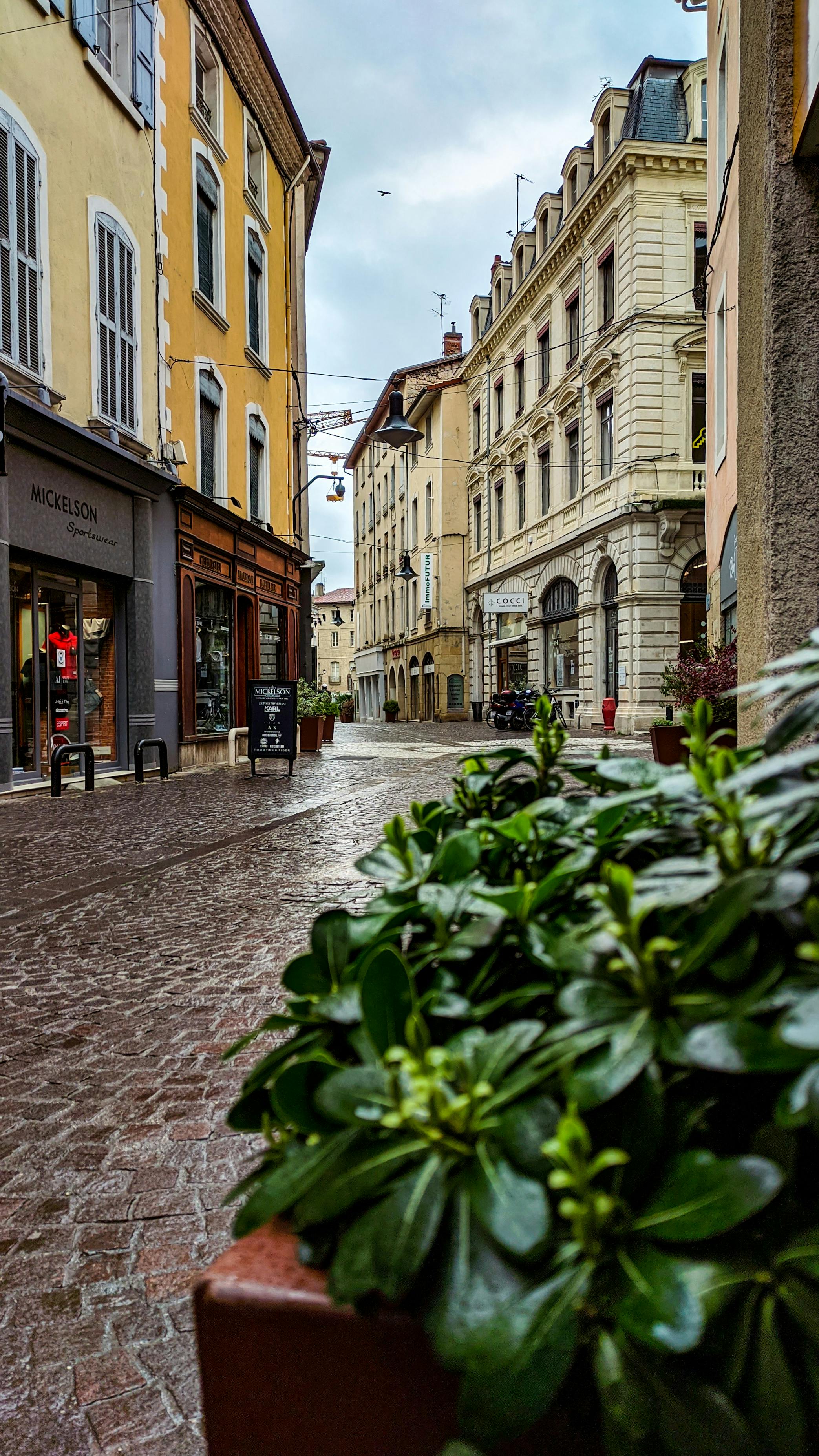 Stéphane Benoit - 사진