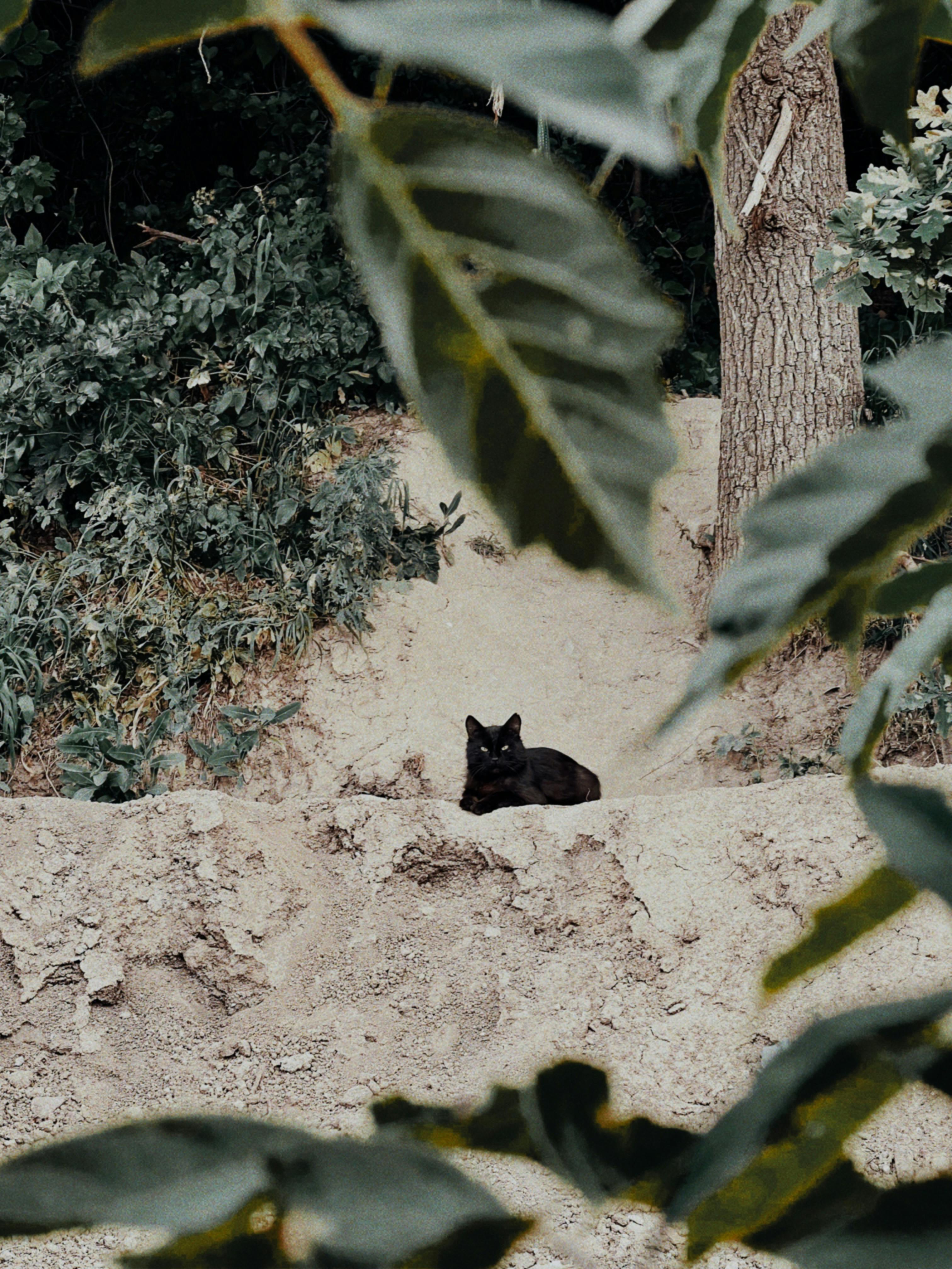 Ground General View Photographs Photos, Download The BEST Free Ground ...