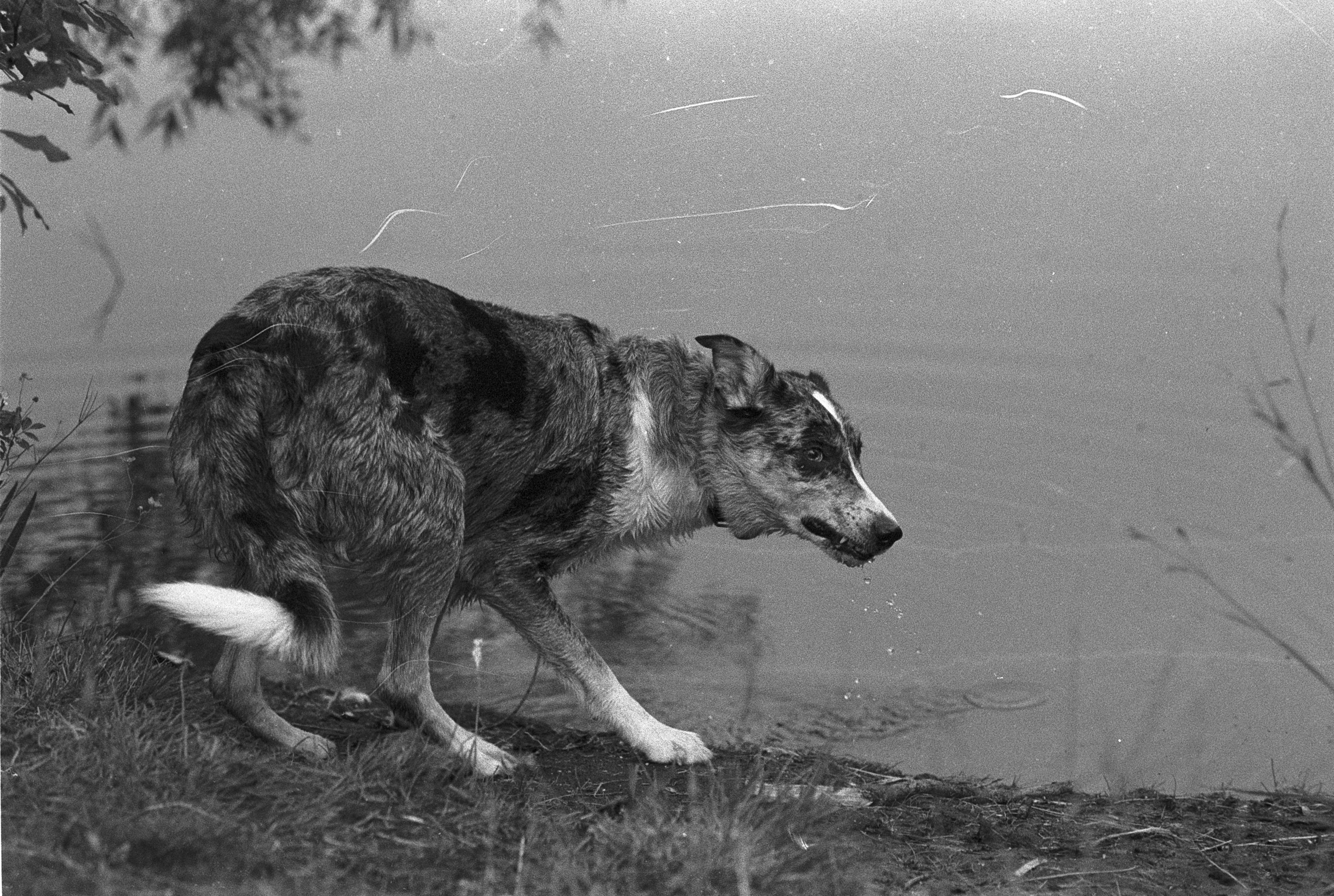 Wallpaper In Bick Photos, Download The BEST Free Wallpaper In Bick ...