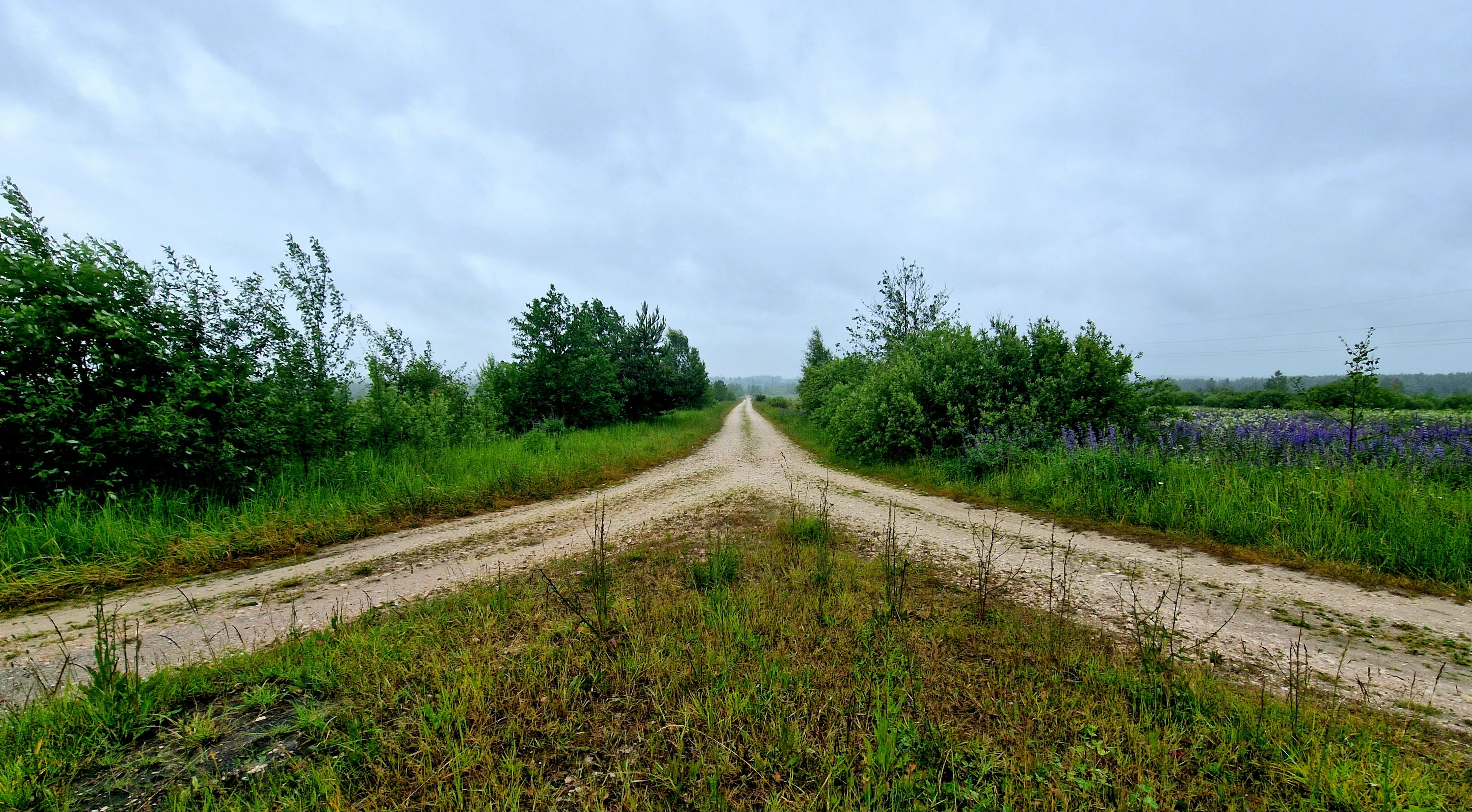 Forked Road Photos, Download The BEST Free Forked Road Stock Photos ...
