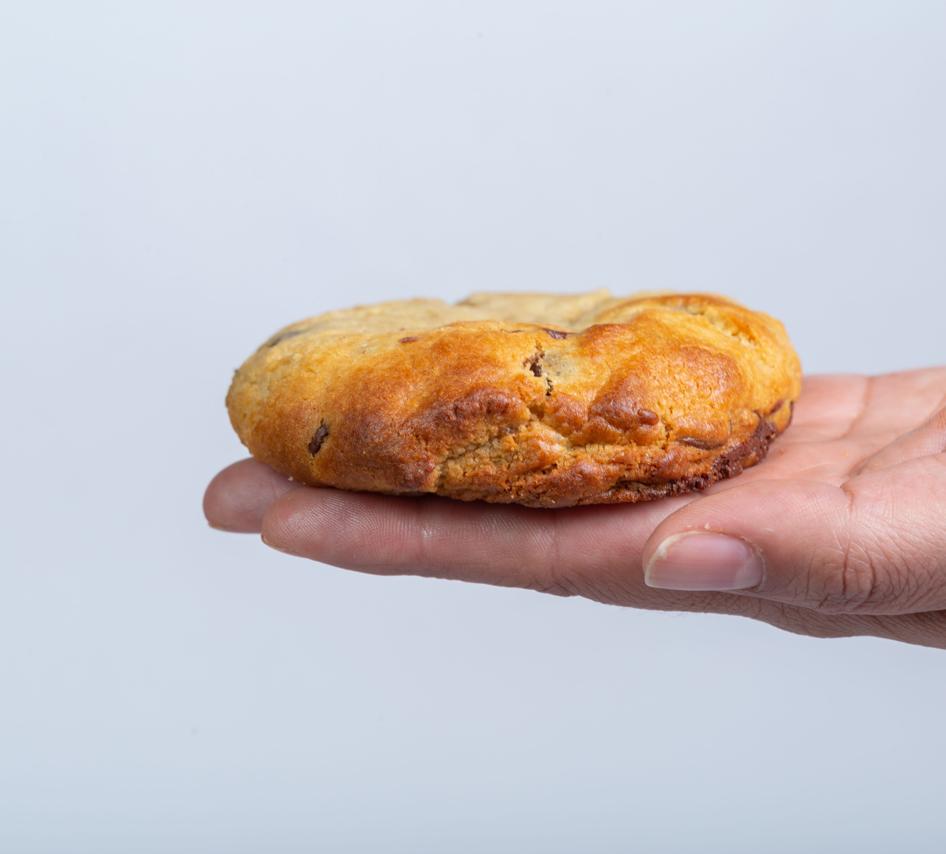 Cookie on Hand · Free Stock Photo