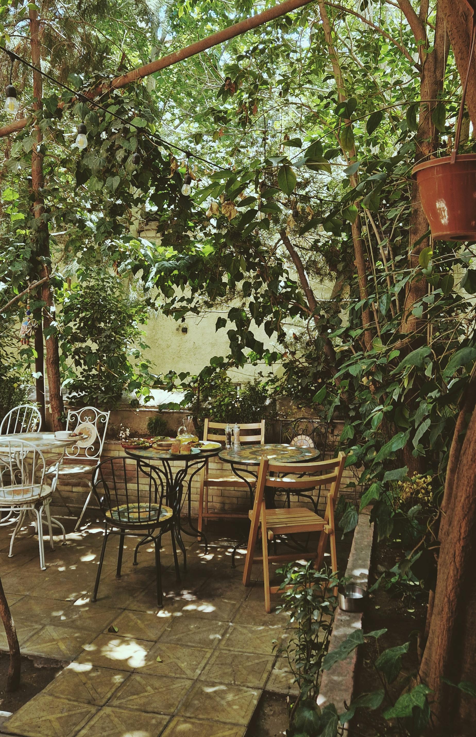 Cafe With Polaroid Cafe Photos, Download The BEST Free Cafe With ...