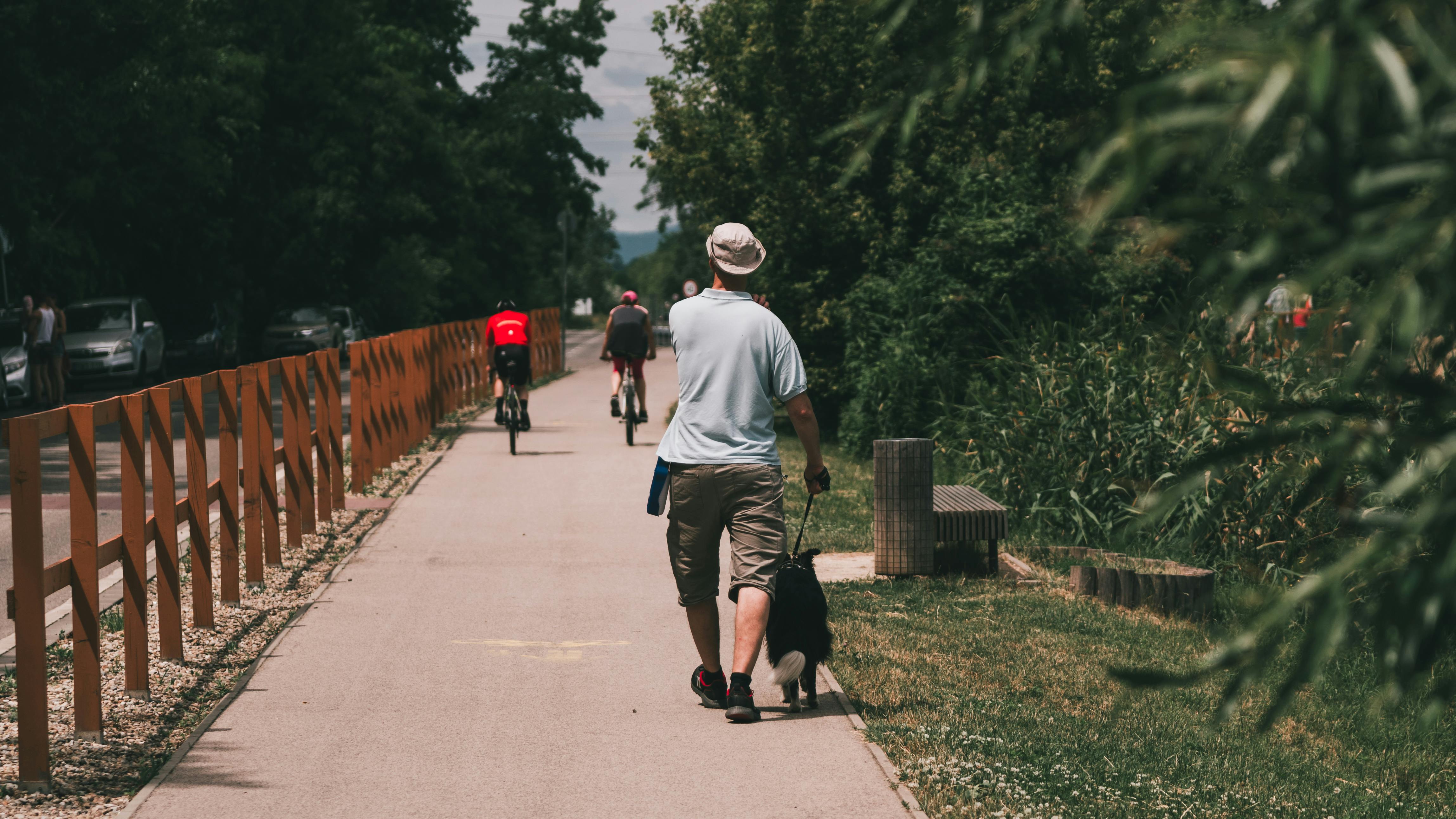 Dog Dump Photos, Download The BEST Free Dog Dump Stock Photos & HD Images