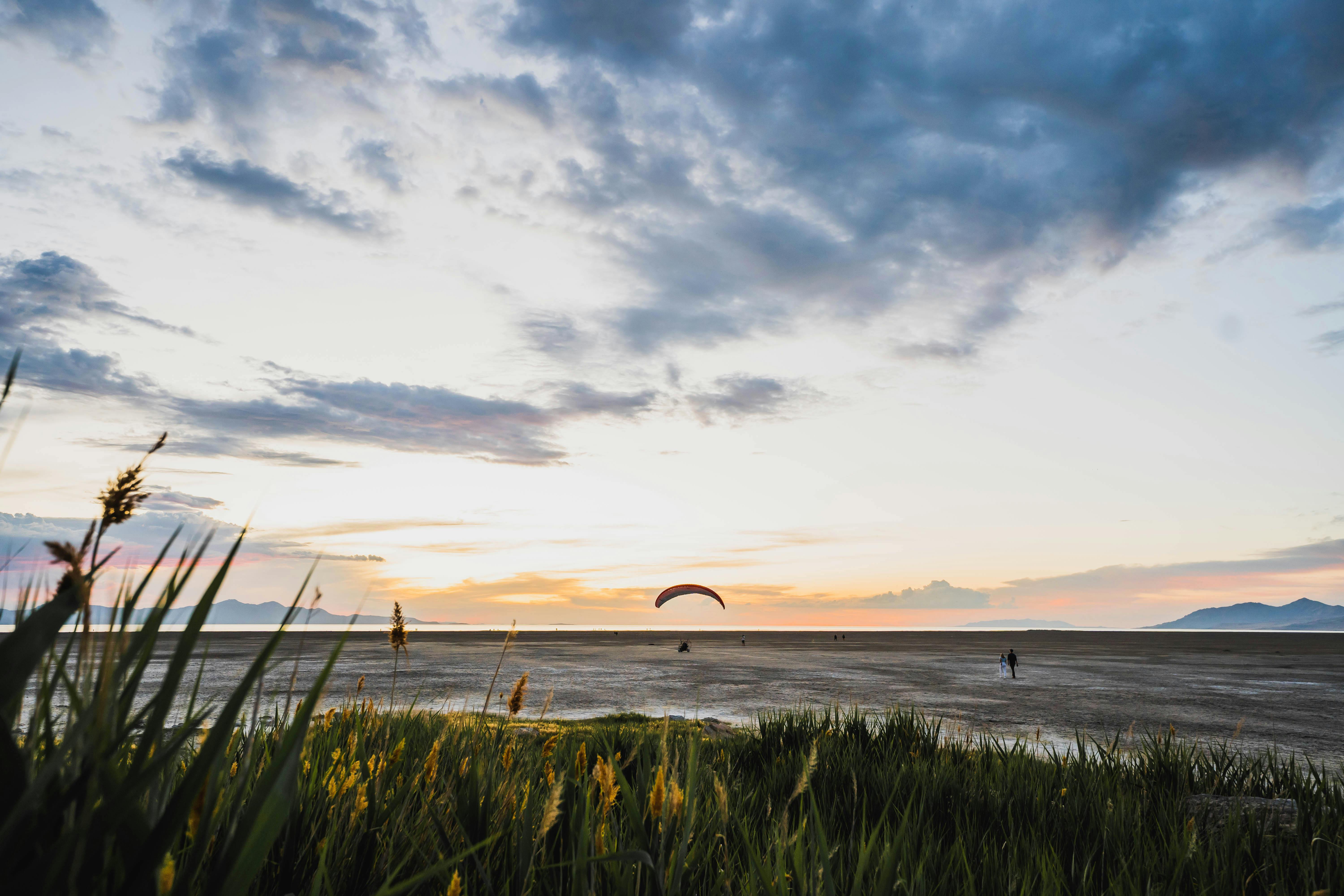 Shrub Coppice Dune Photos, Download The BEST Free Shrub Coppice Dune ...