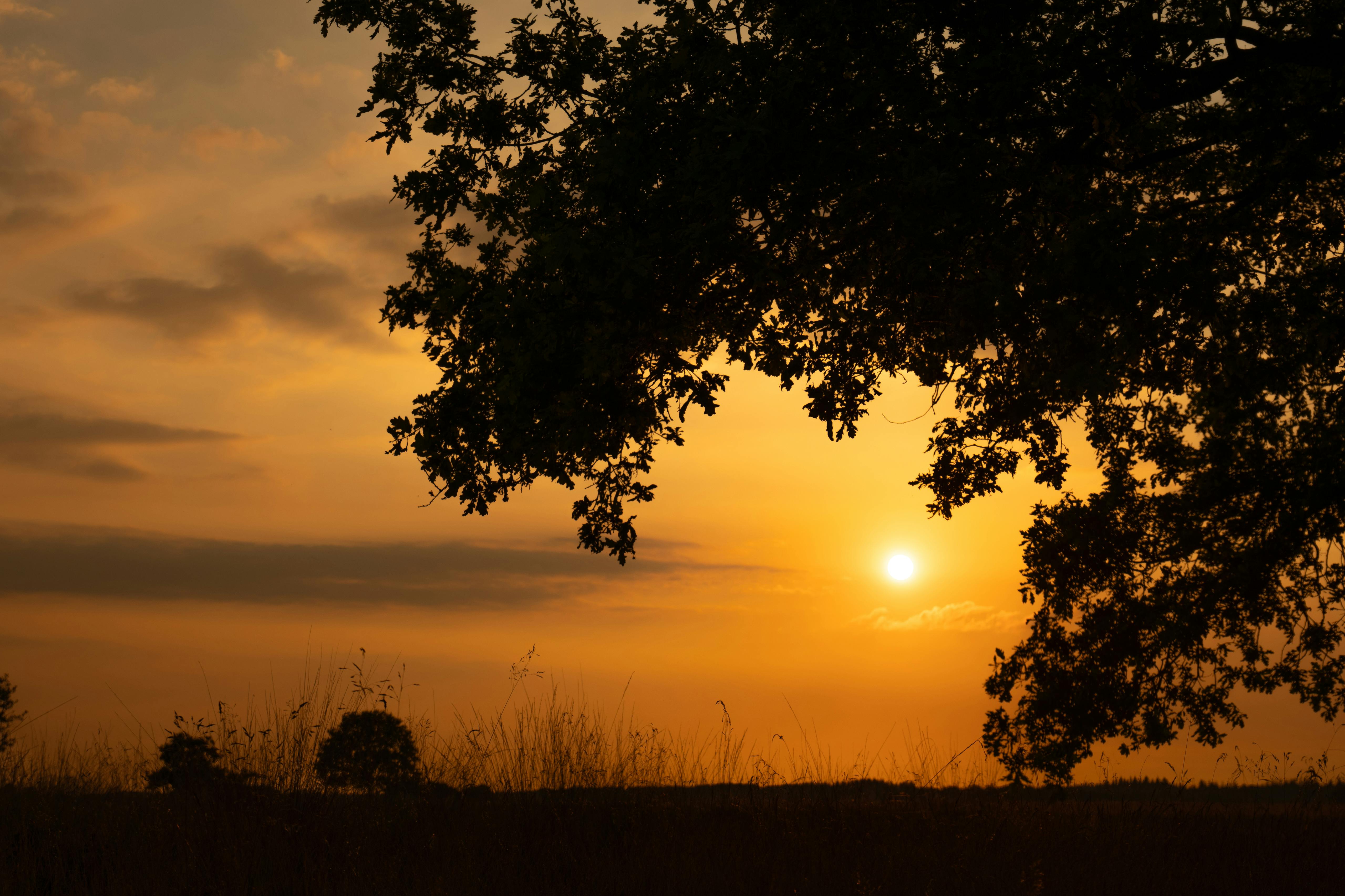 Nature Laptop Wallpaper Photos, Download The BEST Free Nature Laptop ...