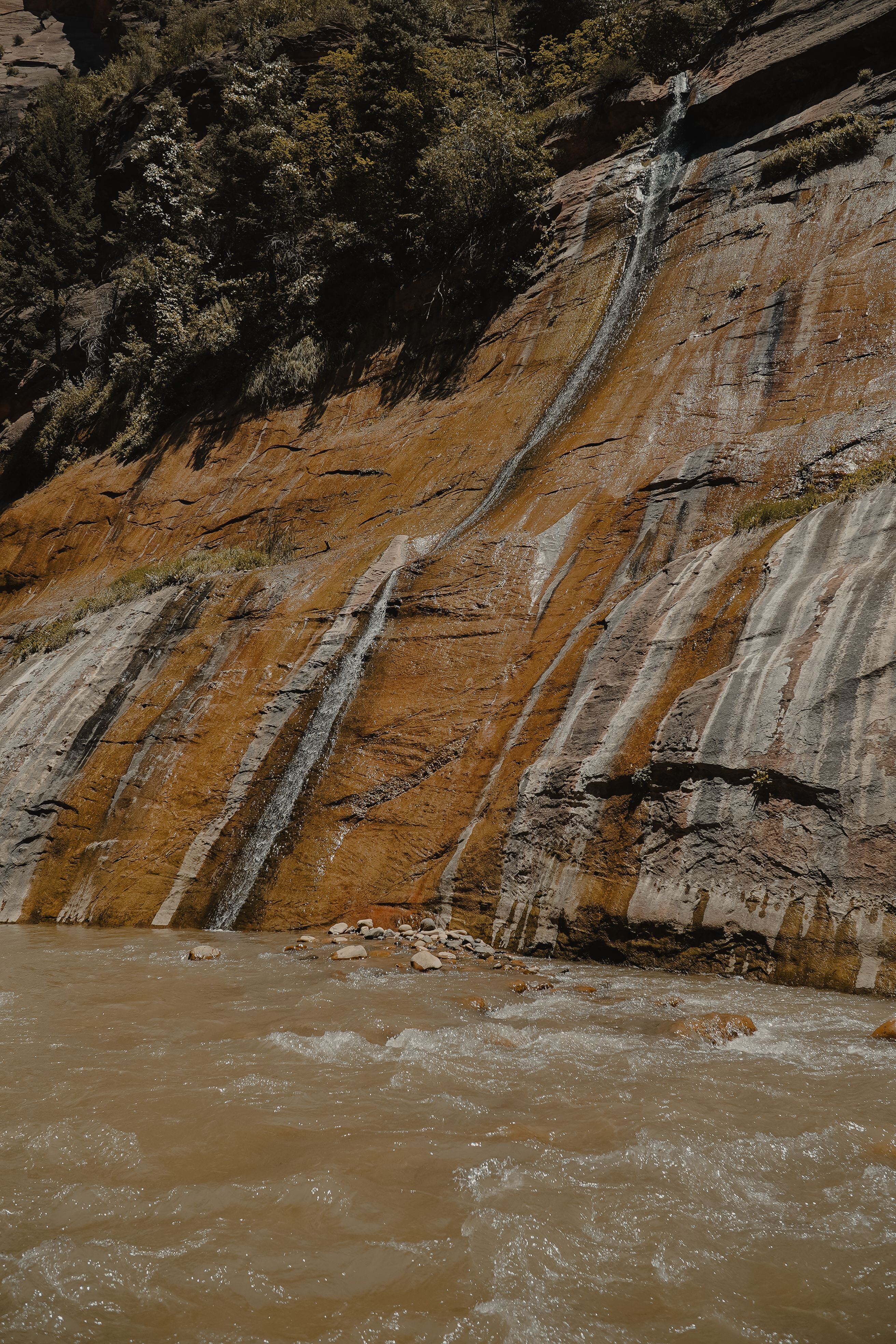 8+ Fotos y Imágenes de Numarul nps Gratis · Banco de Fotos Gratis