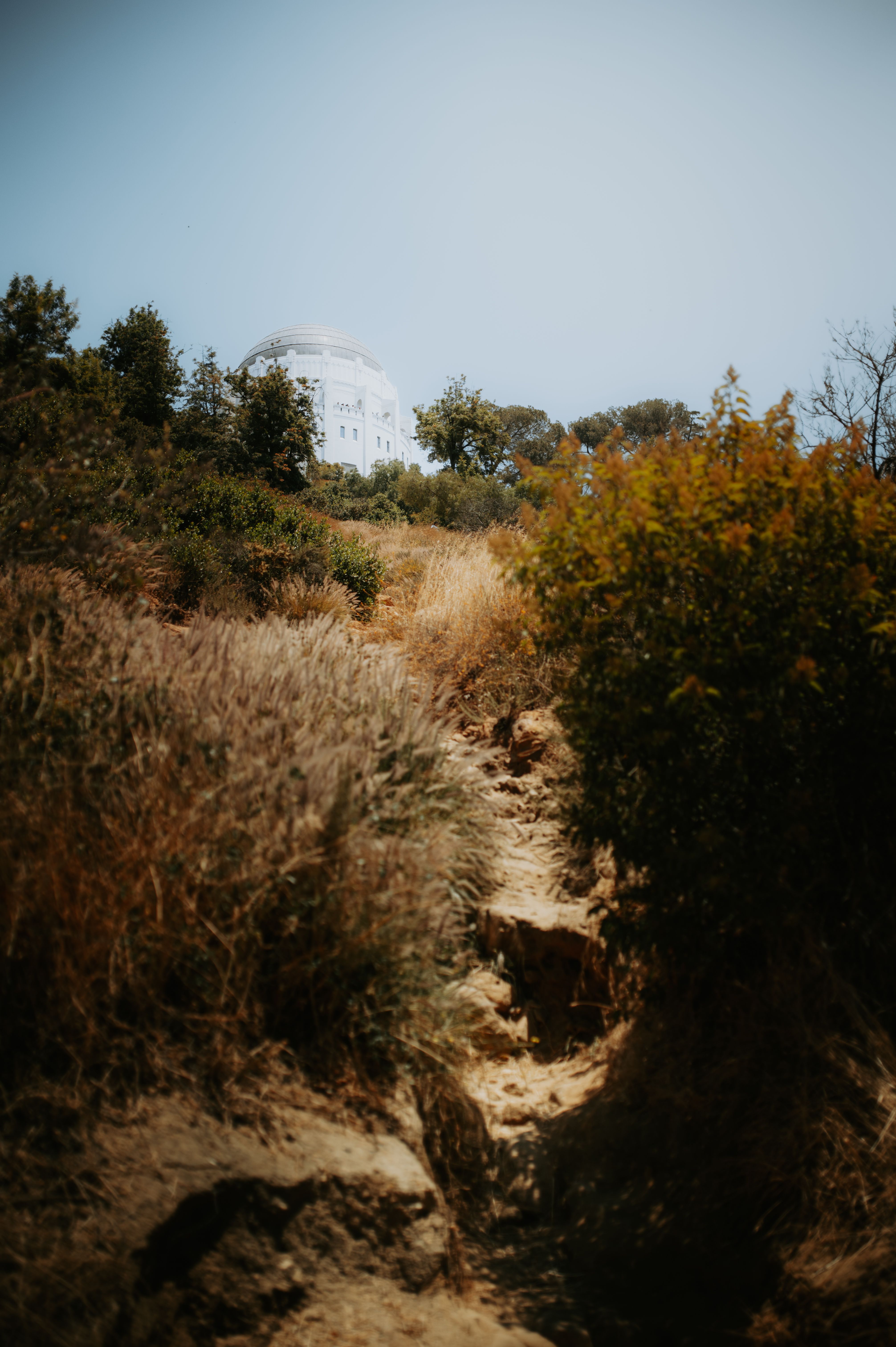 Plants Plants Photos, Download The BEST Free Plants Plants Stock Photos ...