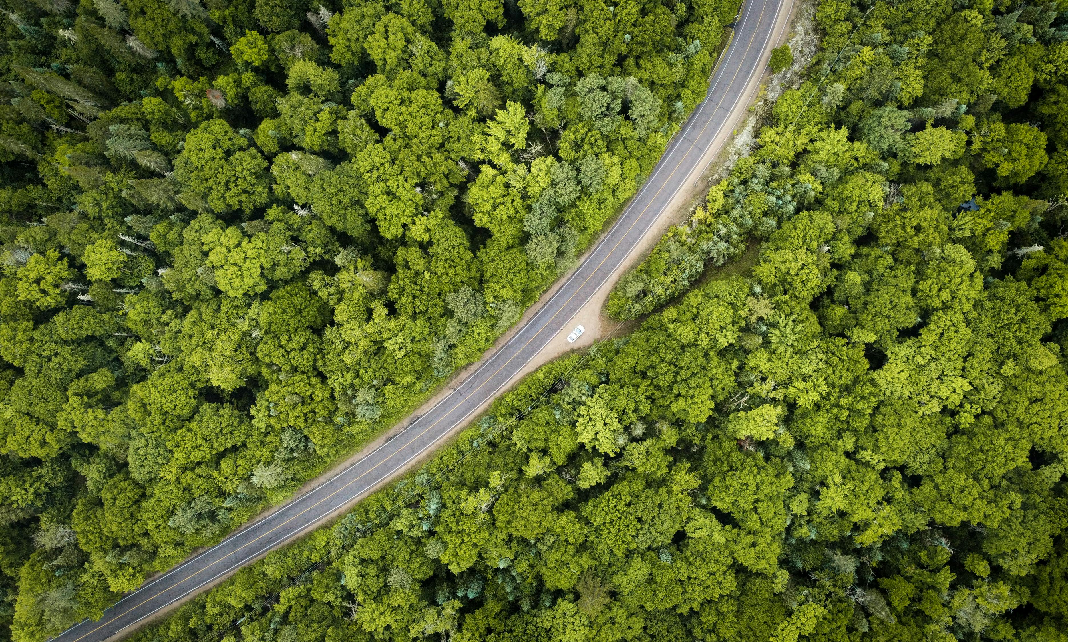 Forest Road Arial View Photos, Download The BEST Free Forest Road Arial ...