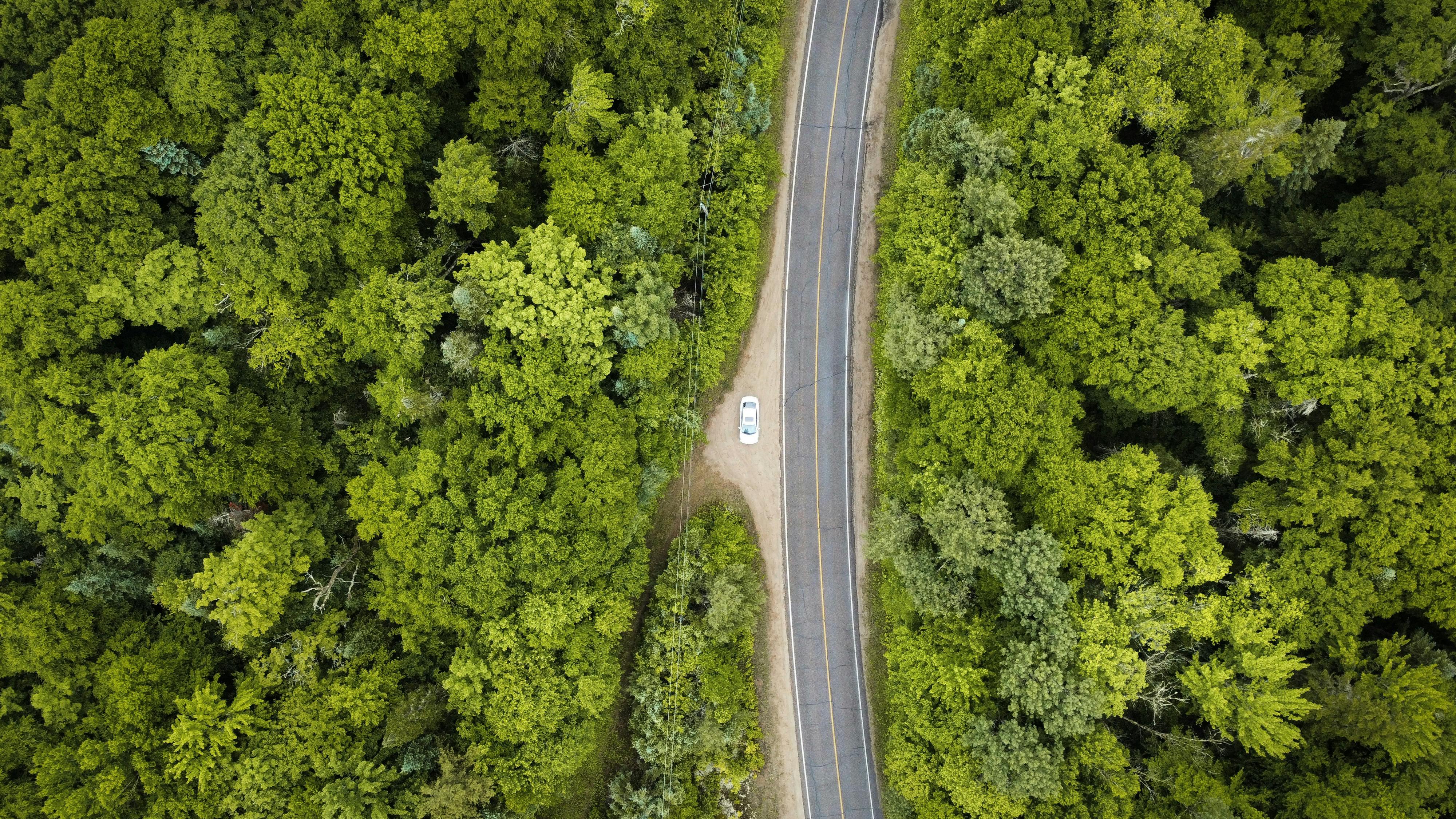Aerial View of Road in the Middle of Trees · Free Stock Photo