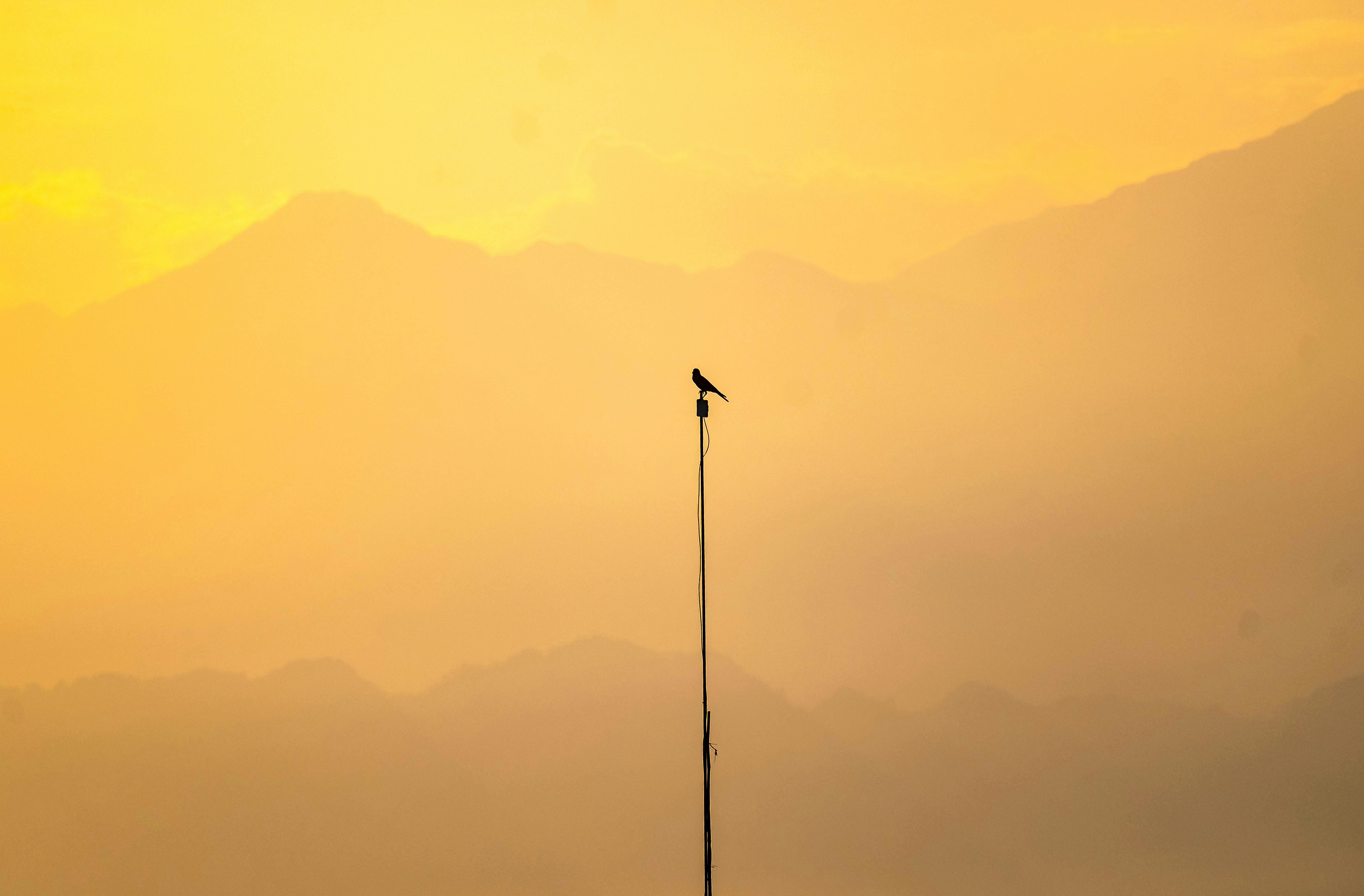 Did You Know Post Photos, Download The BEST Free Did You Know Post ...