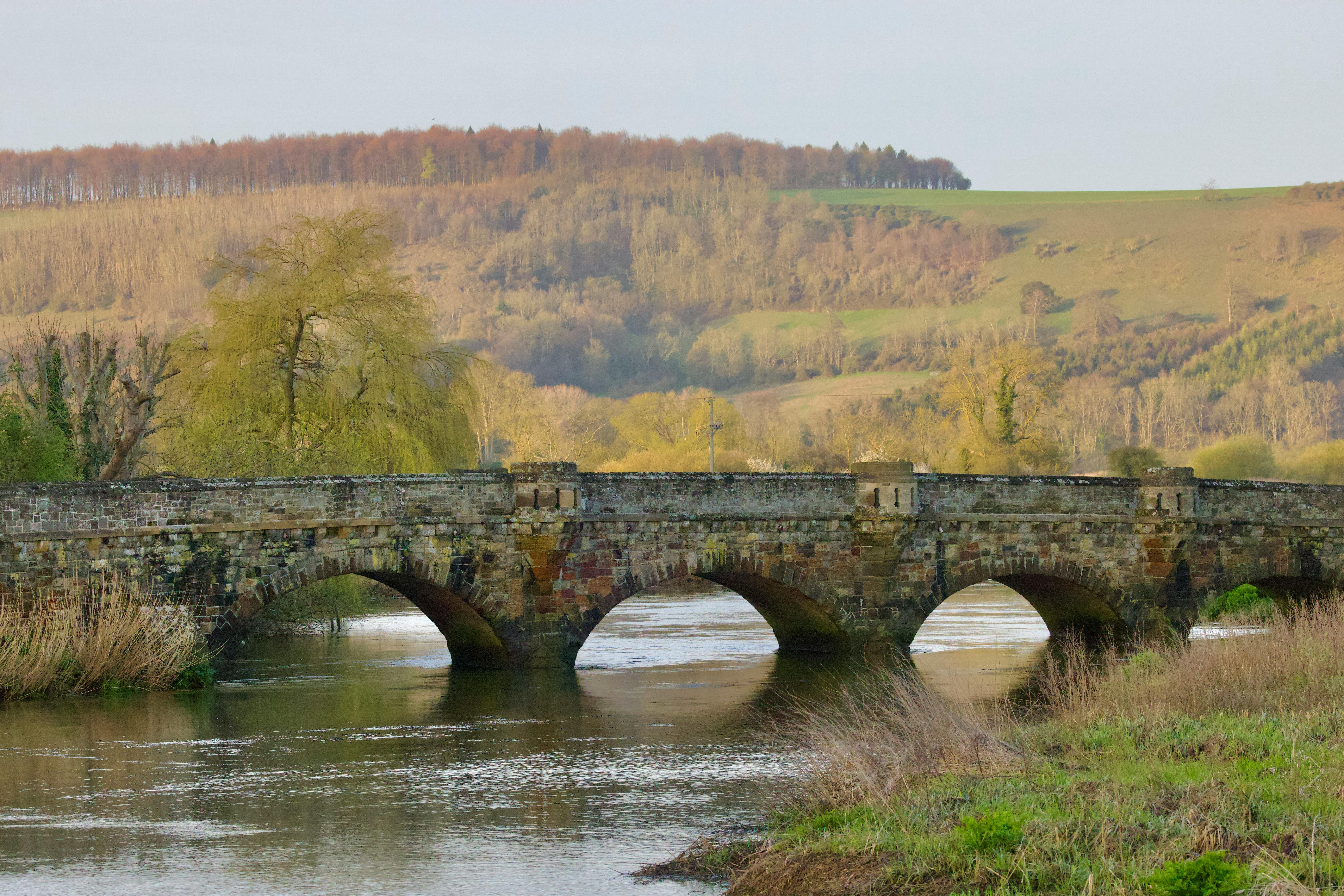 Stone Bridge on River · Free Stock Photo