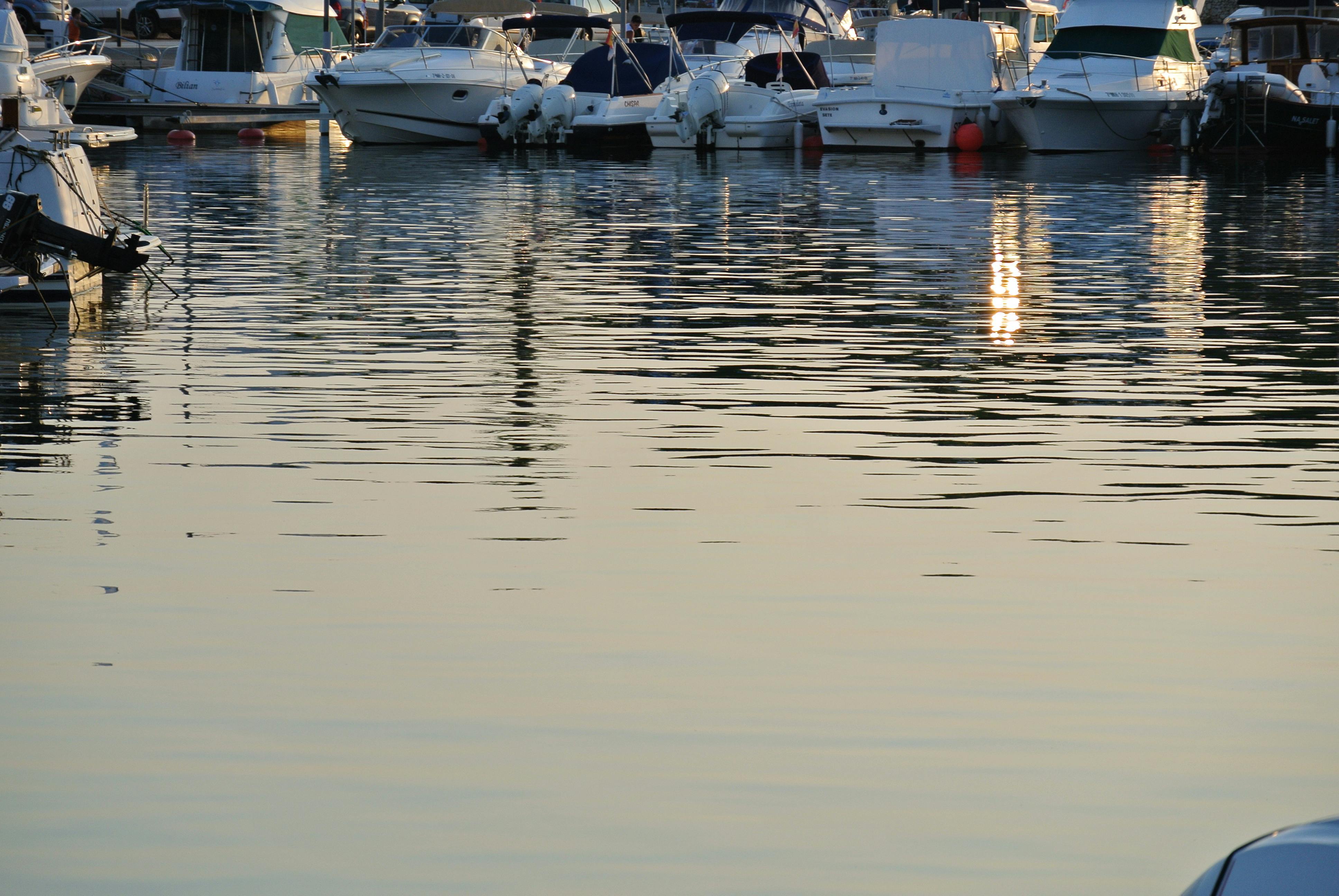 Flynn Robinson - 摄影