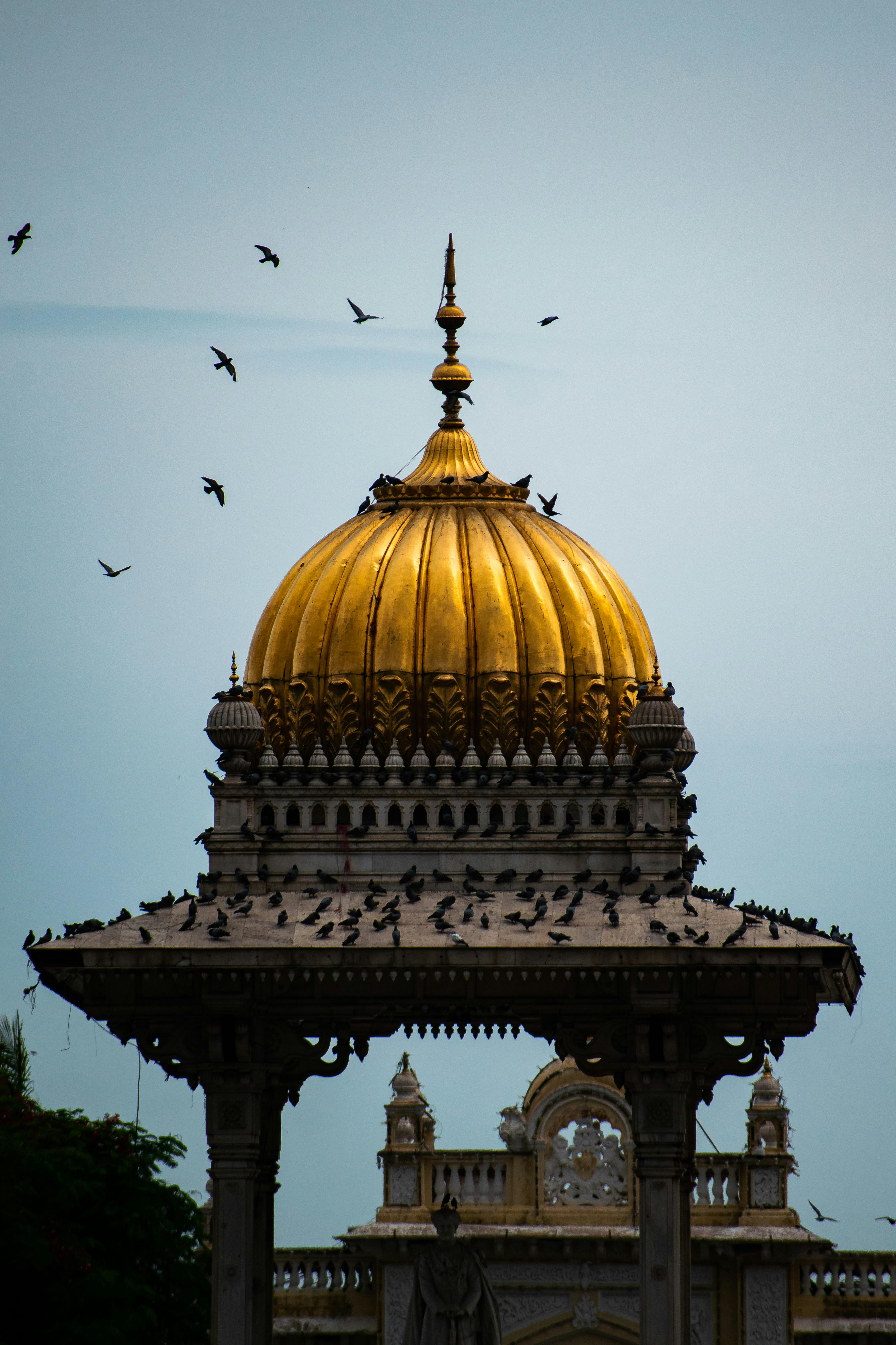Birds Flying around Golden Temple Dome · Free Stock Photo