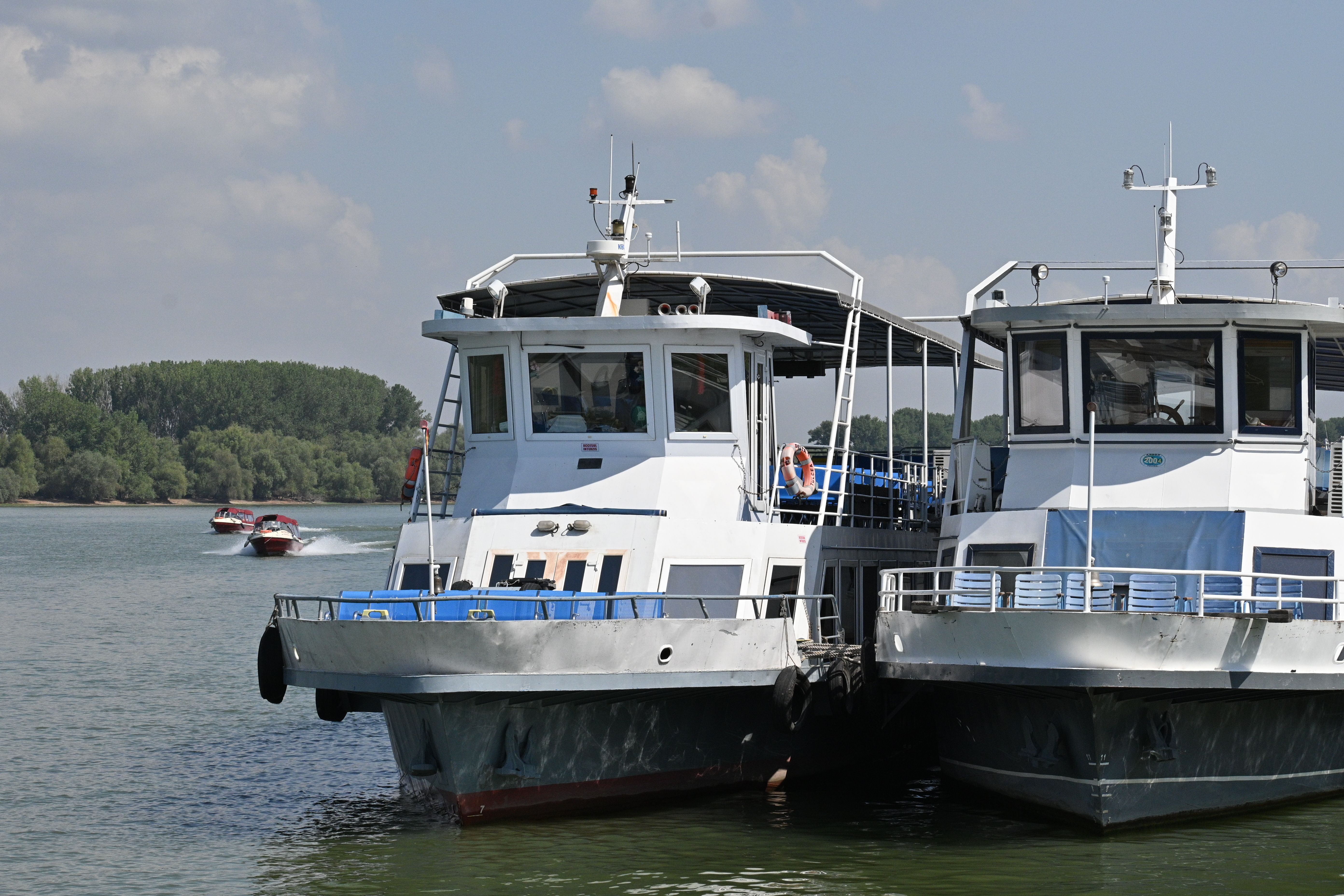Moored Ferries on the River · Free Stock Photo