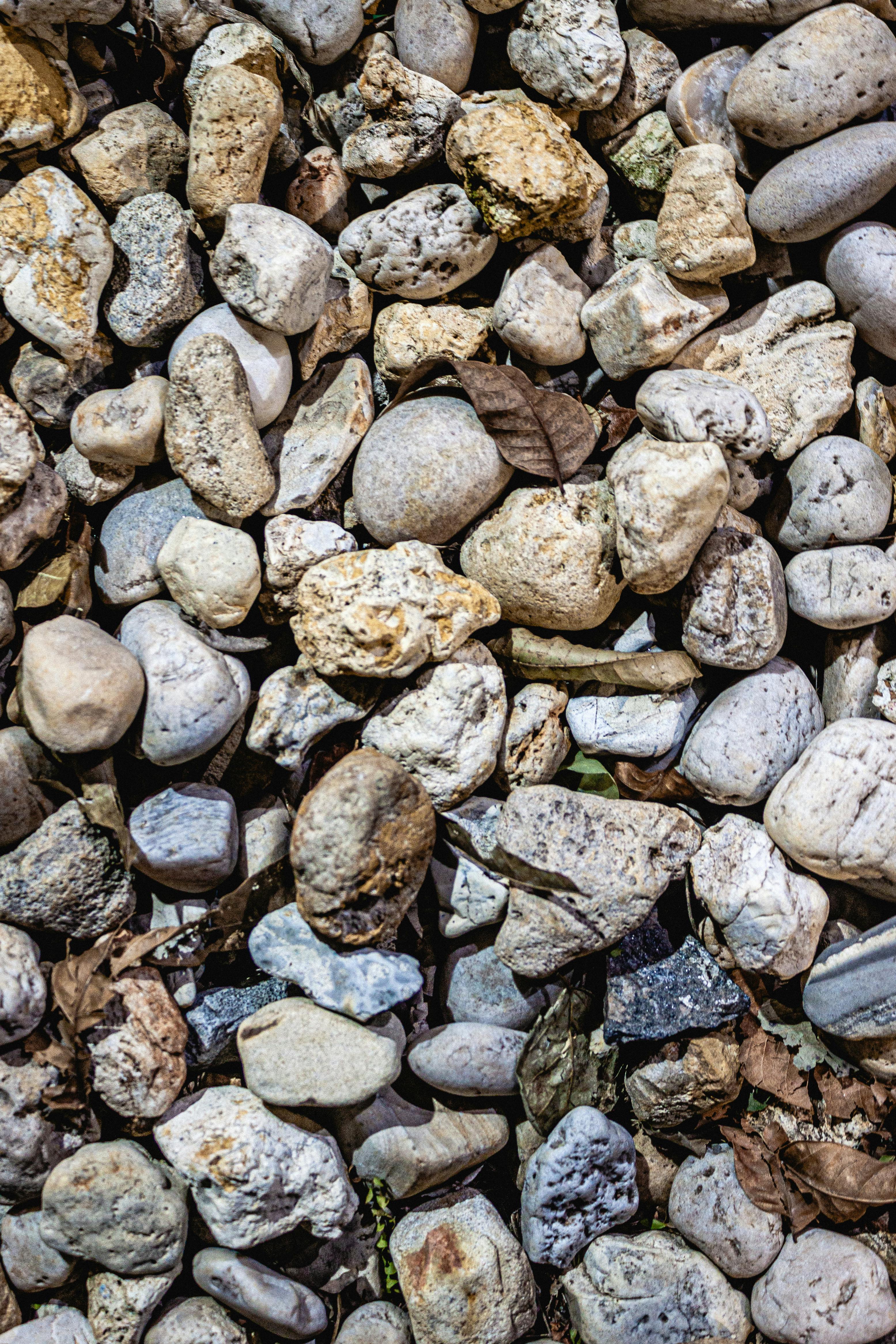 Pile of Beige Stone on Brown Wood Surface · Free Stock Photo