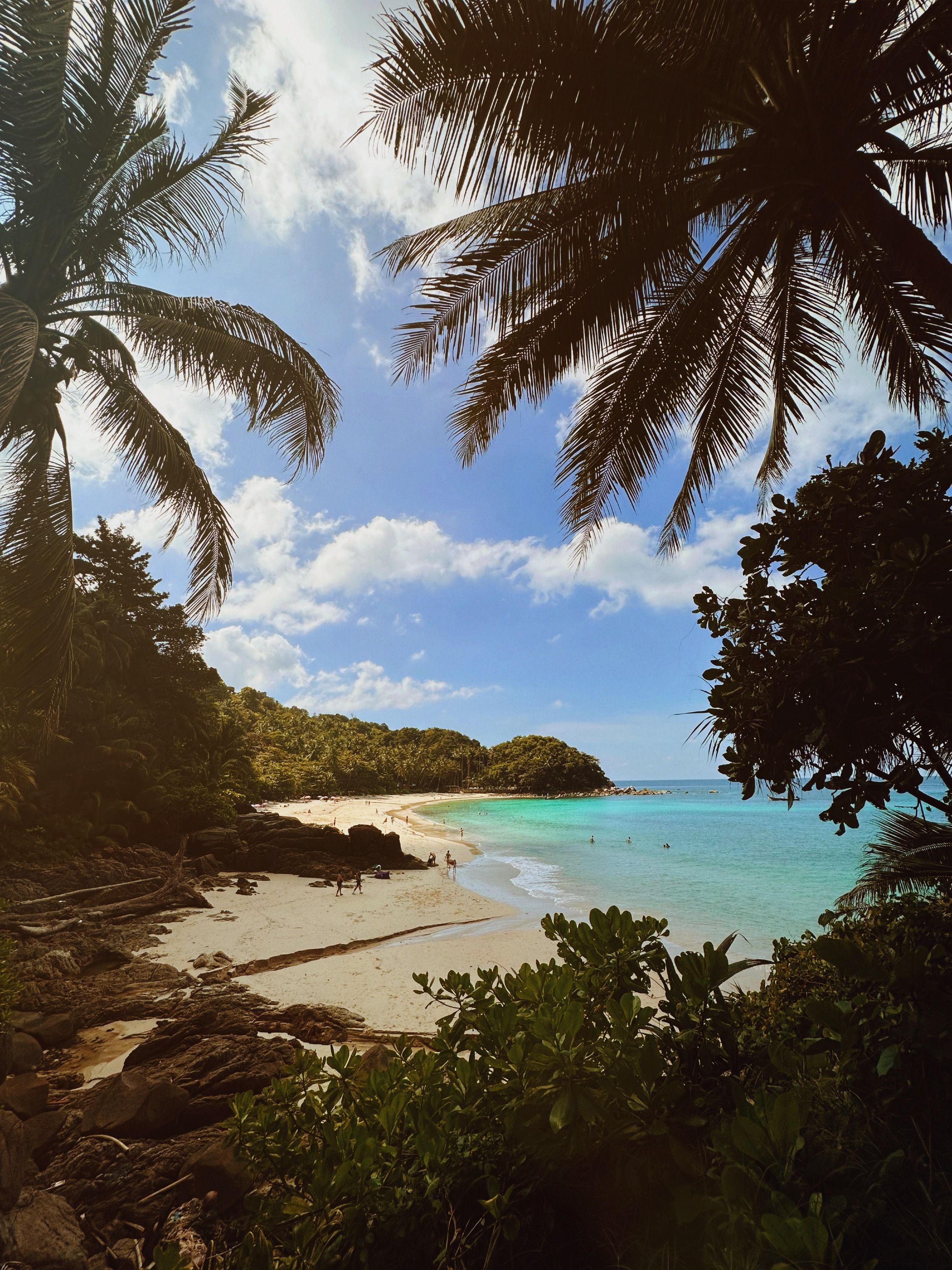 Scenic Tropical Beach Surrounded by Lush Foliage · Free Stock Photo