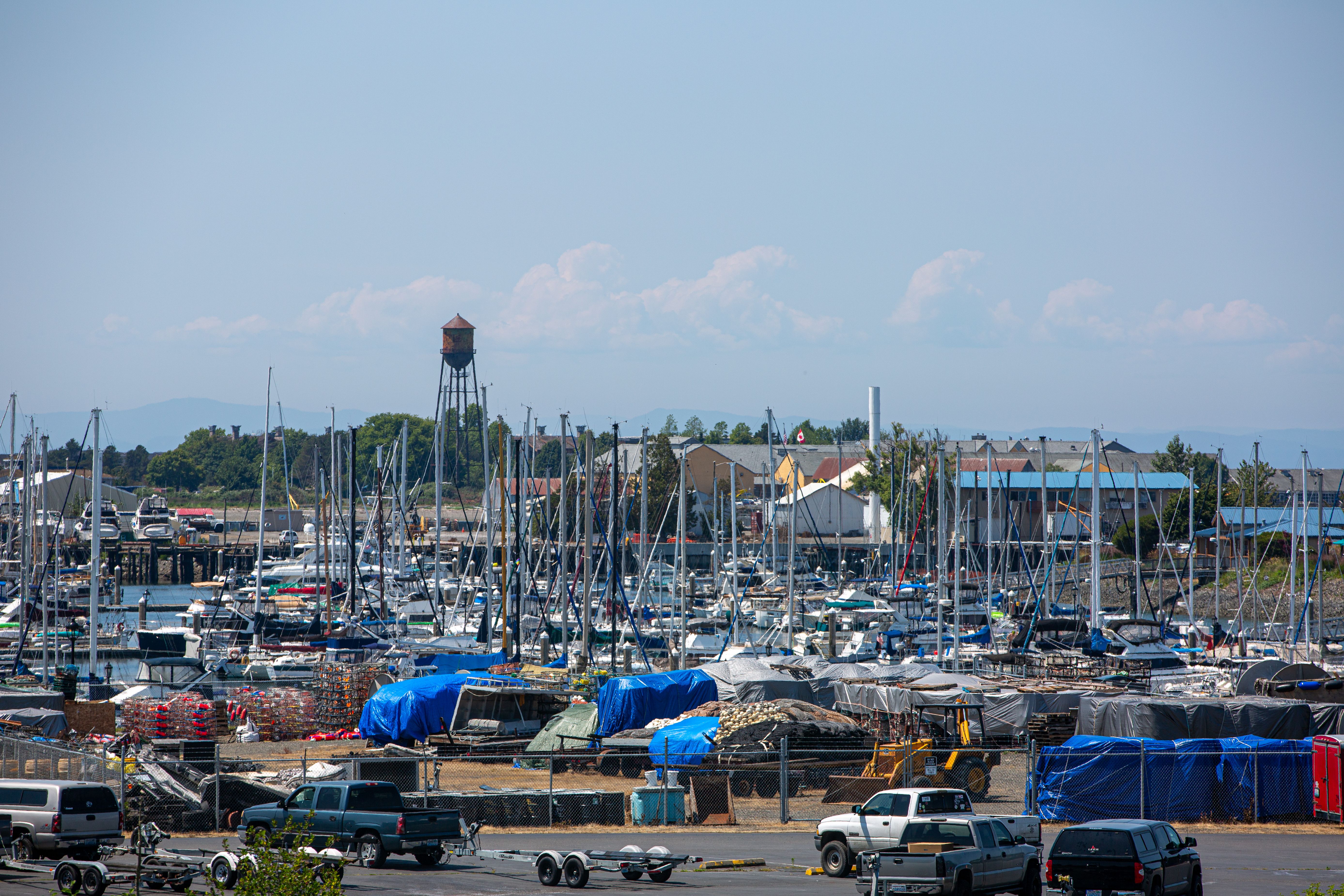 Ships in a Harbor · Free Stock Photo