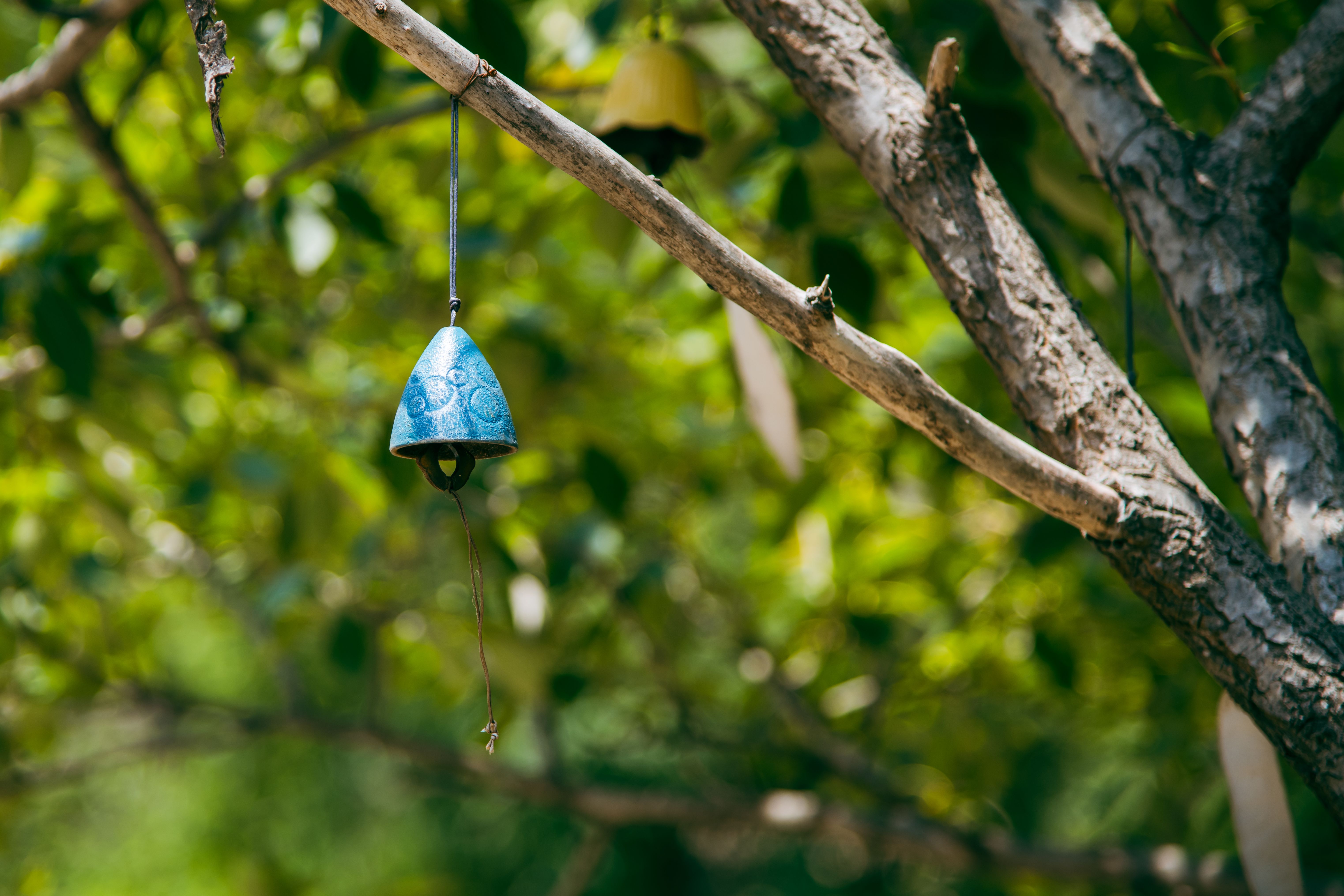 Tinterbell Hanging from a Tree · Free Stock Photo