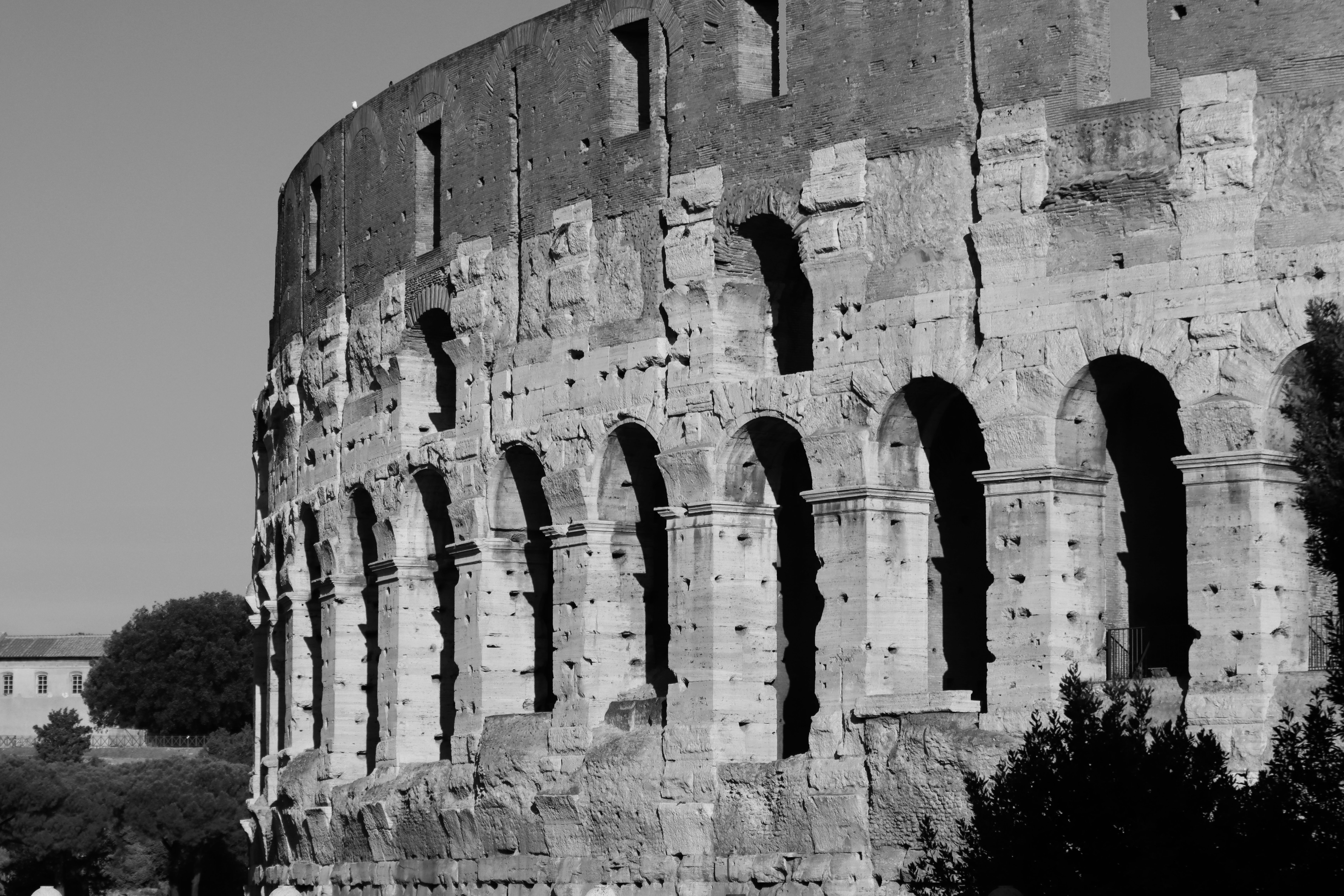 Wall of Colosseum in Black and White · Free Stock Photo
