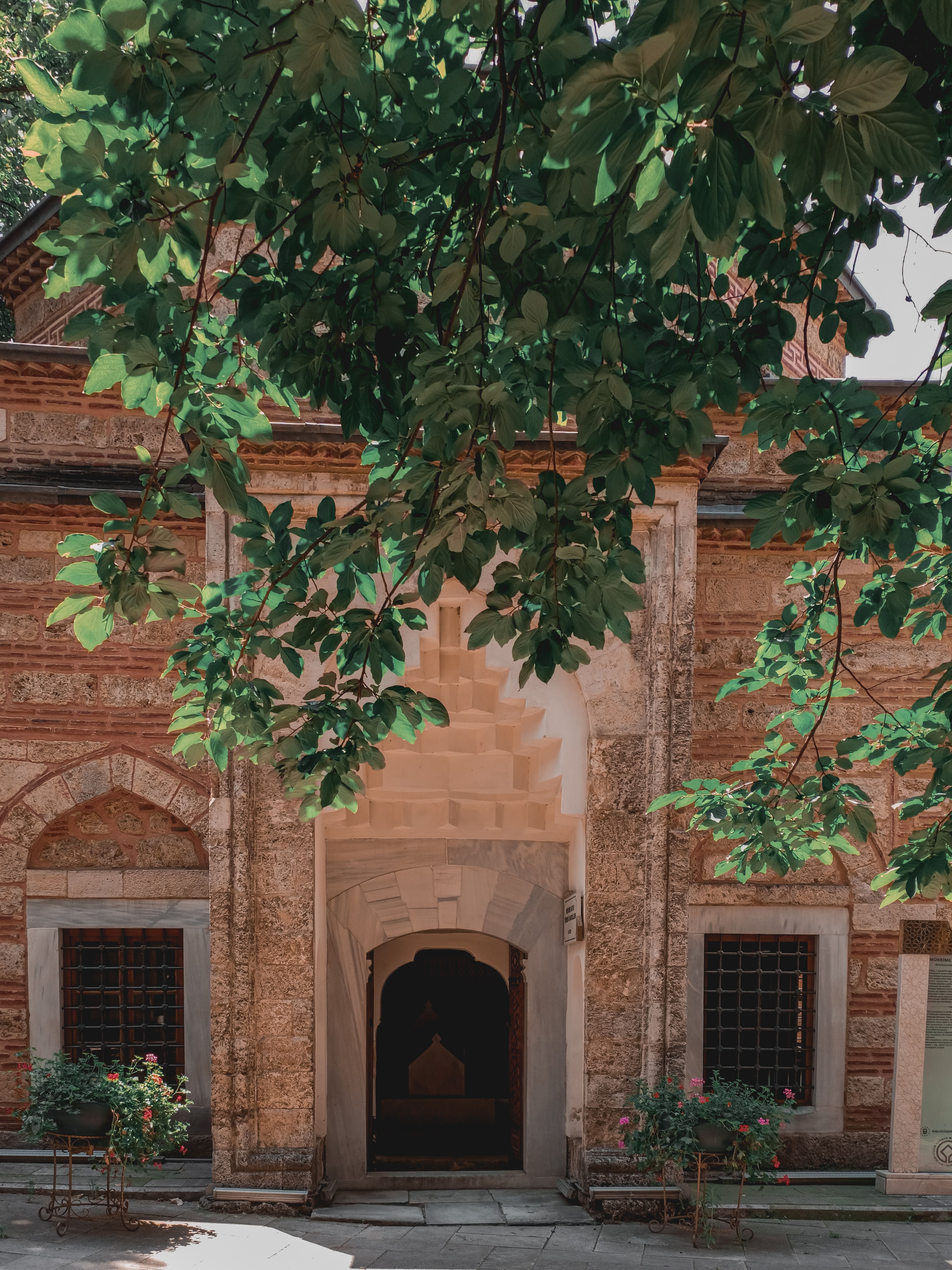 Leaves over Entrance to Temple · Free Stock Photo